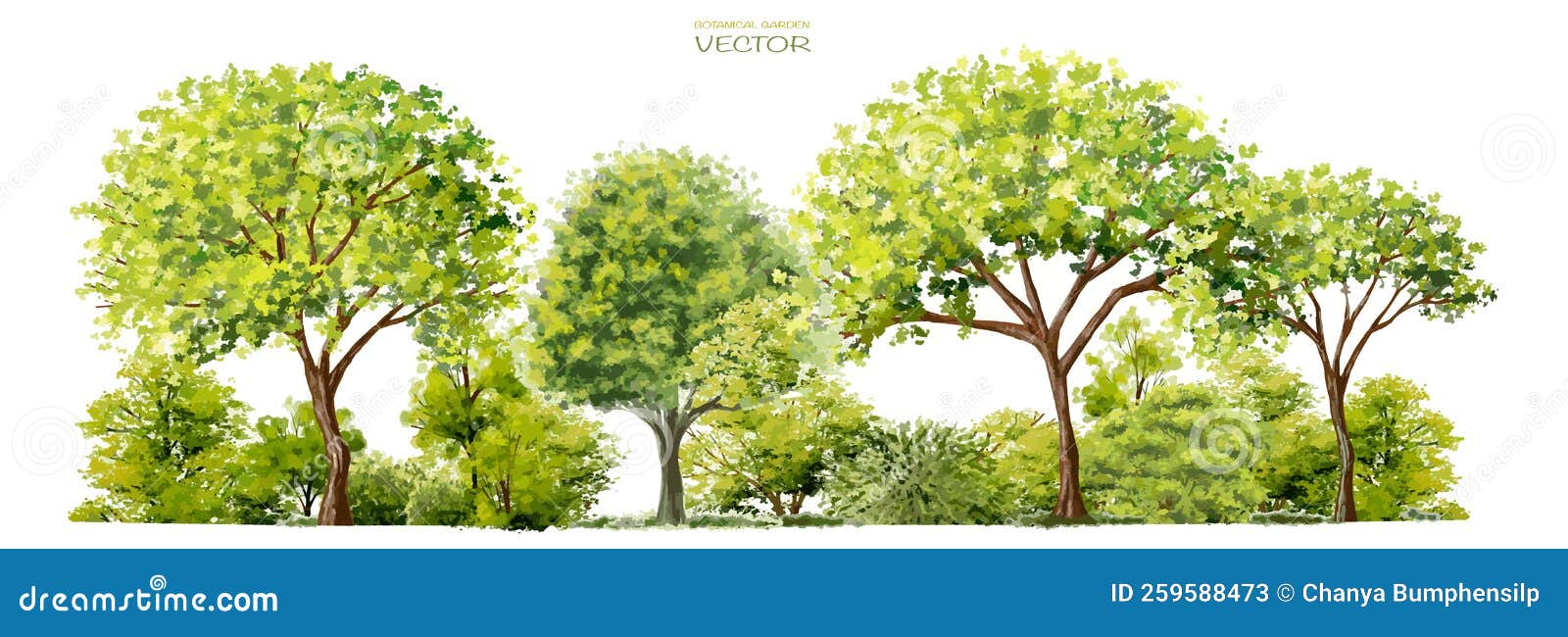 Vector Spring Tree Side View Isolated on White Background for Landscape ...