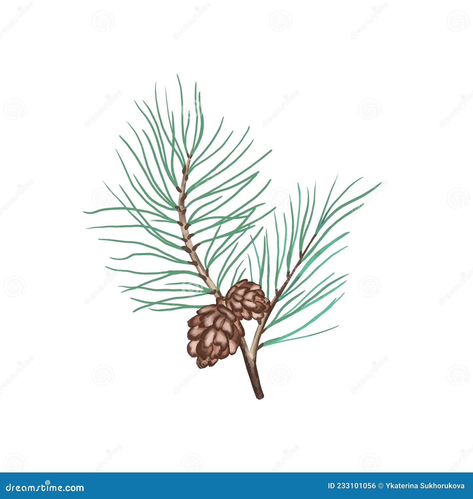 Vector Spruce Tree, Ink Plant Sketch, Hand Drawing, Black Silhouette ...
