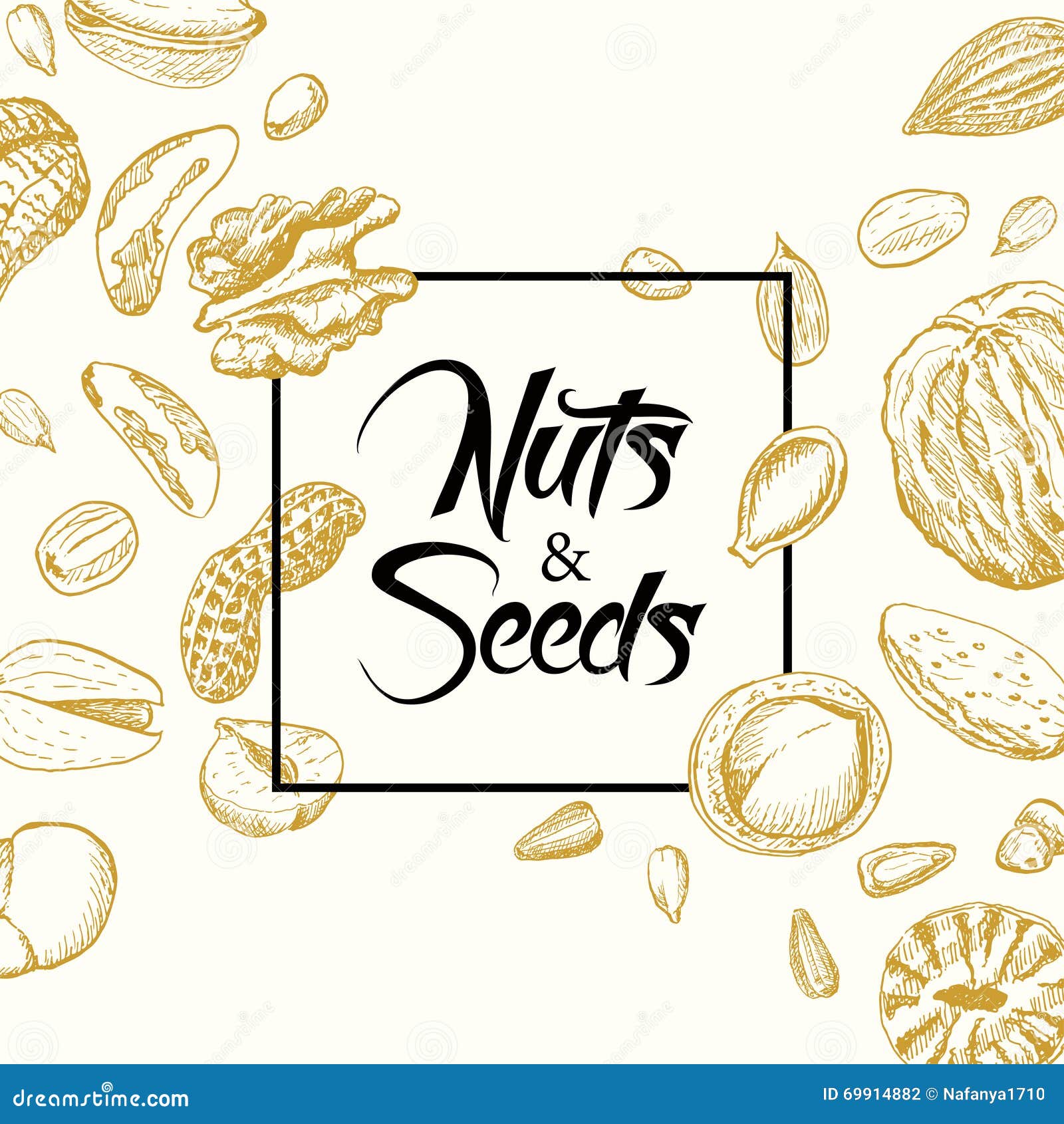 Vector Square Frame of Nuts and Seeds Stock Vector - Illustration of ...
