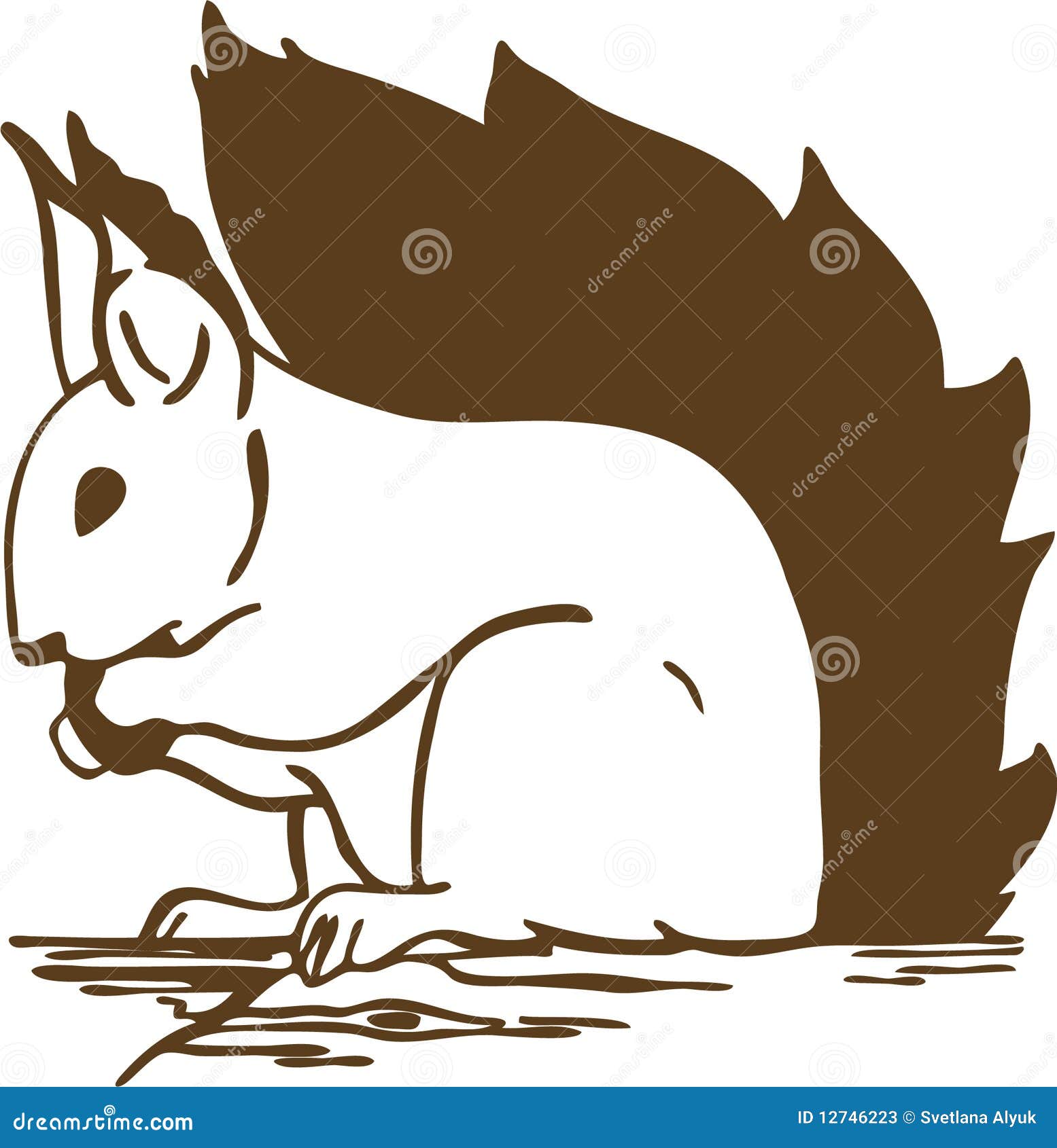 Vector Set Of Squirrel Illustrations. Front And Side View Postraits ...