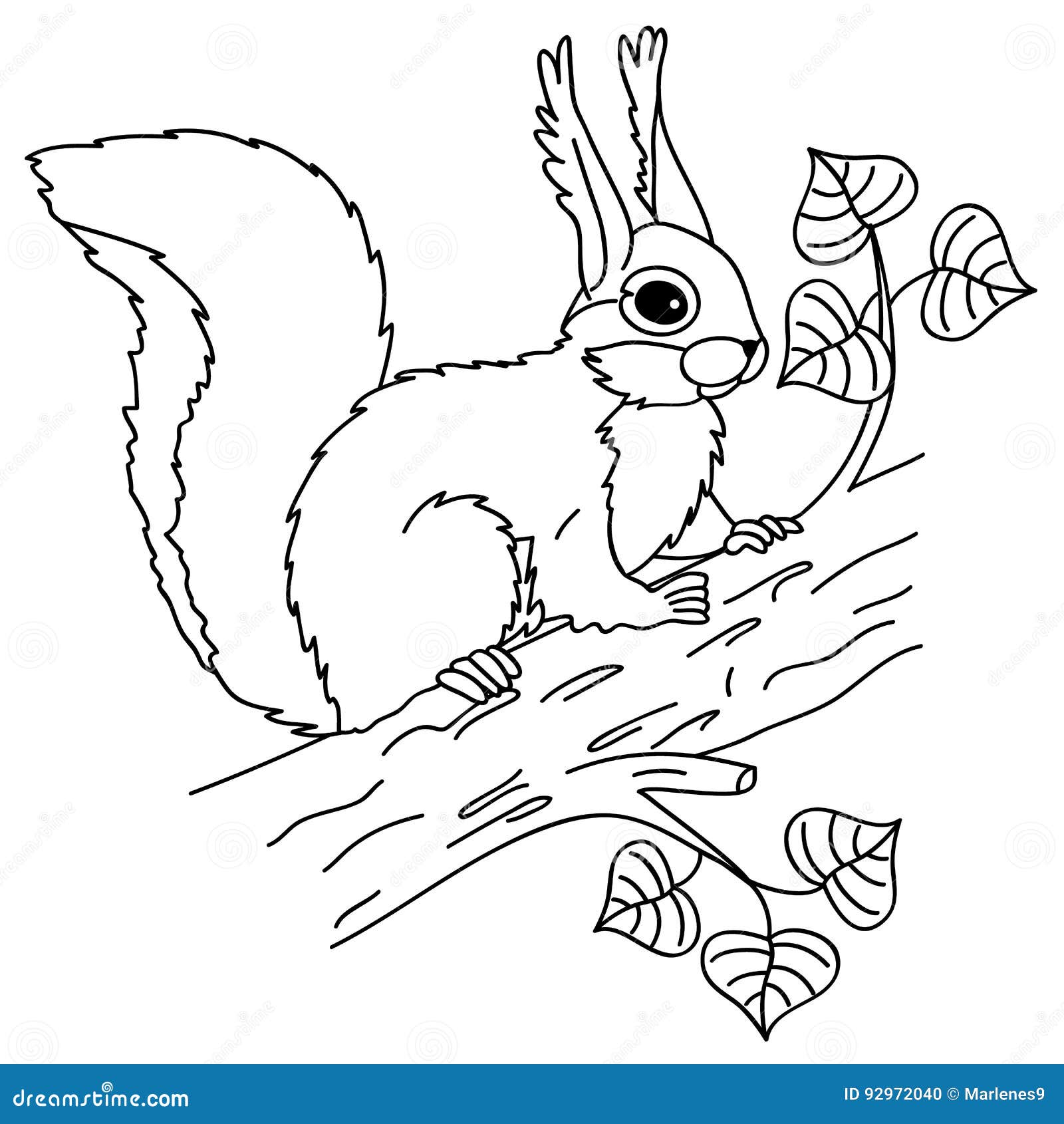 Vector Squirrel Sitting on the Tree Stock Vector - Illustration of food ...