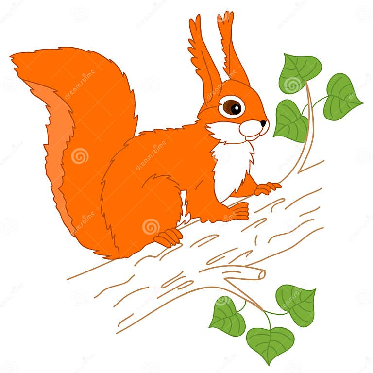 Vector Squirrel Sitting On The Tree Stock Vector Illustration Of Leaf