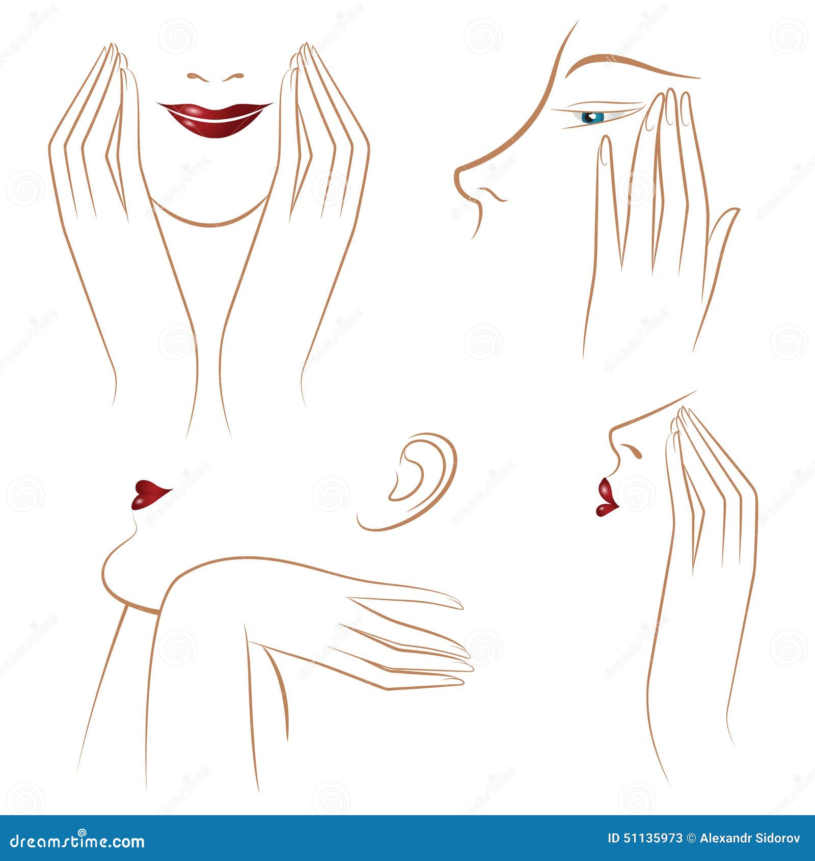 Vector Stock. Infographics. Beautiful Girl Caring for Her Face. Stock ...