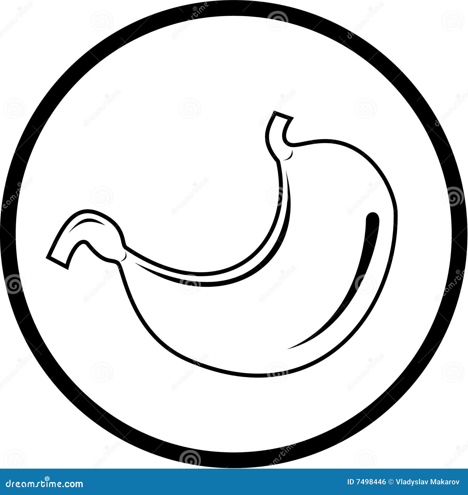 Stomach Icon Set On White Background. Vector | CartoonDealer.com #81898637