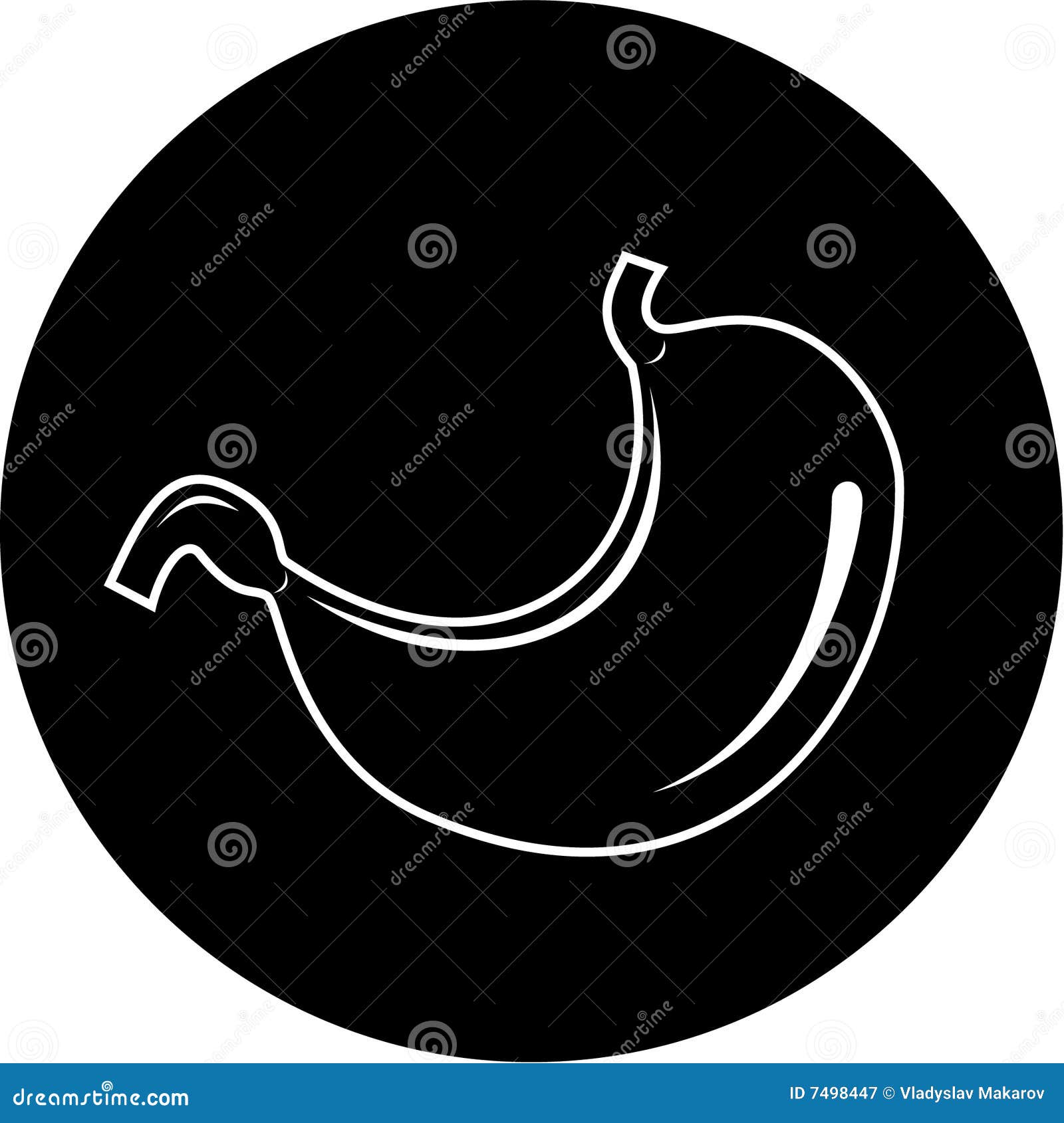 Stomach Icon Set On White Background. Vector | CartoonDealer.com #81898637