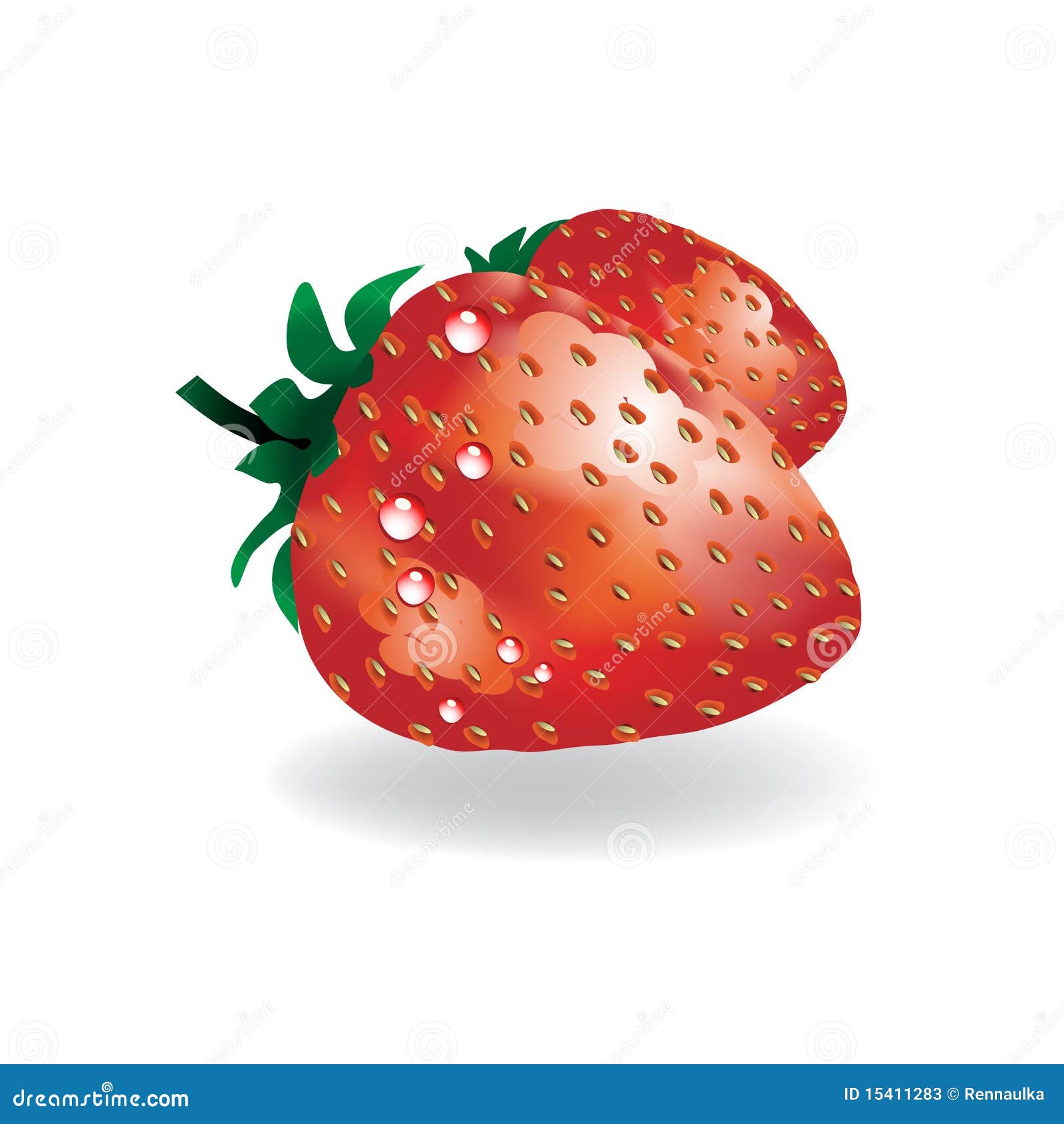Vector strawberries stock vector. Illustration of juicy - 15411283