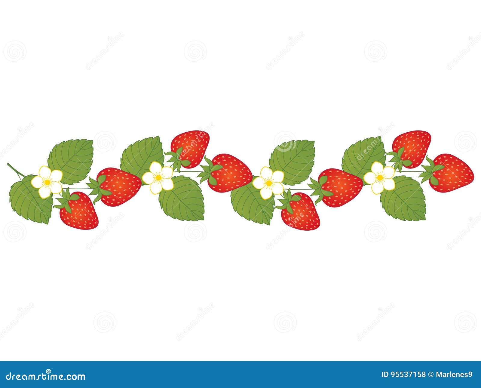 Vector Strawberries with Flowers. Vector Strawberry Stock Illustration ...