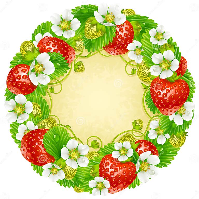 Vector Strawberry Circle Frame Stock Vector - Illustration of isolated ...