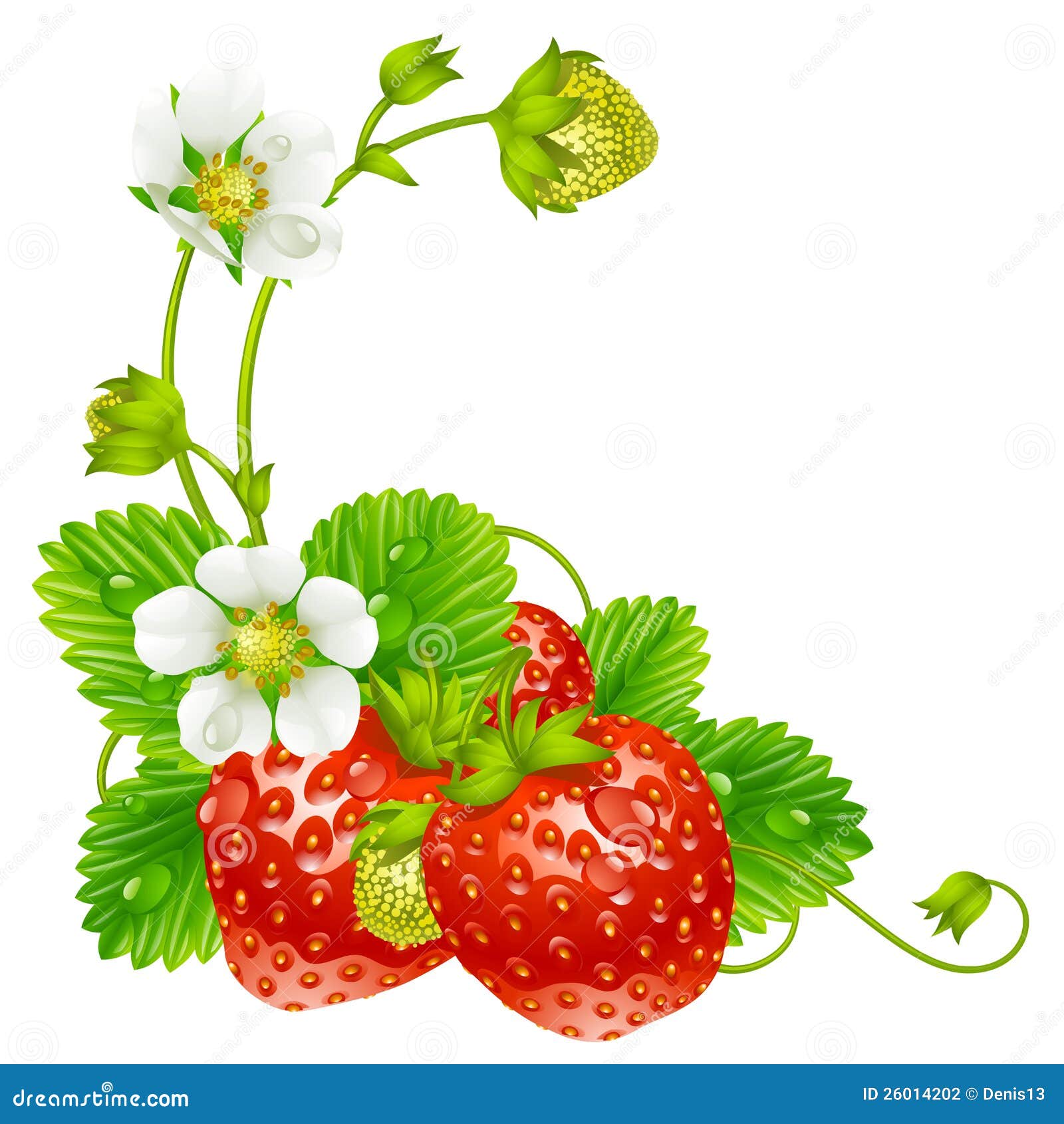Vector Strawberry Background. | CartoonDealer.com #29634726