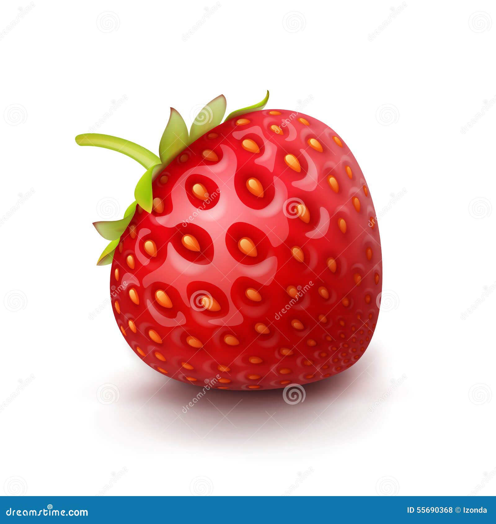Vector Strawberry Isolated stock vector. Illustration of green - 55690368