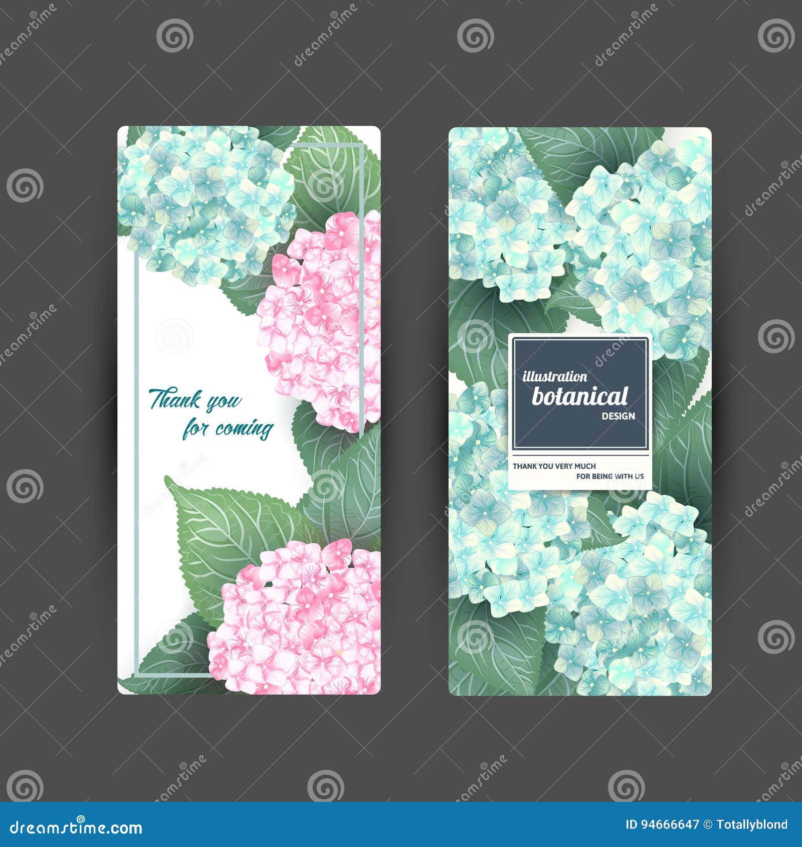 Vector Summer Flower Banners with Hydrangea Stock Vector - Illustration ...
