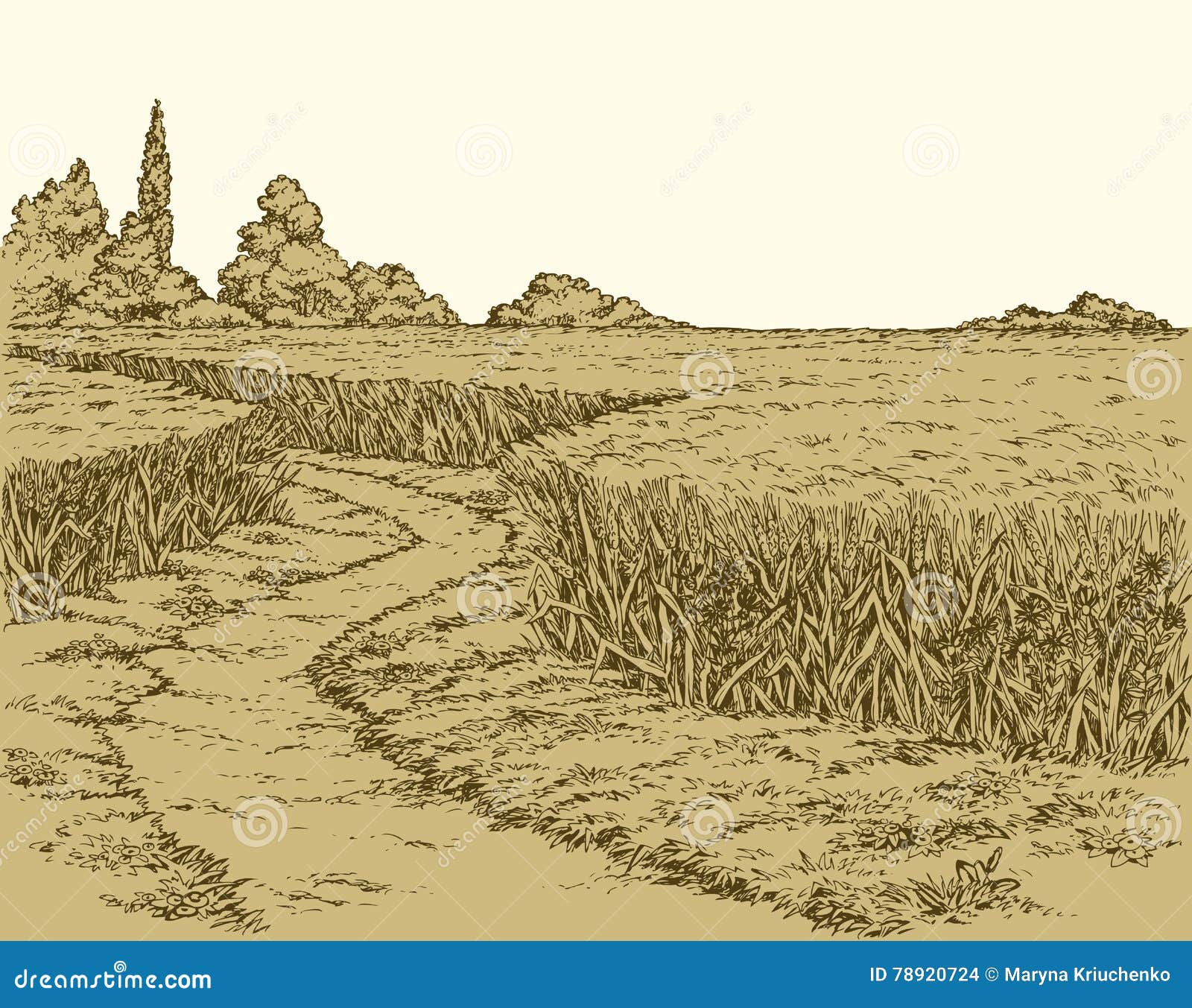 Vector Summer Landscape. a Dirt Path through Fields of Wheat Stock ...