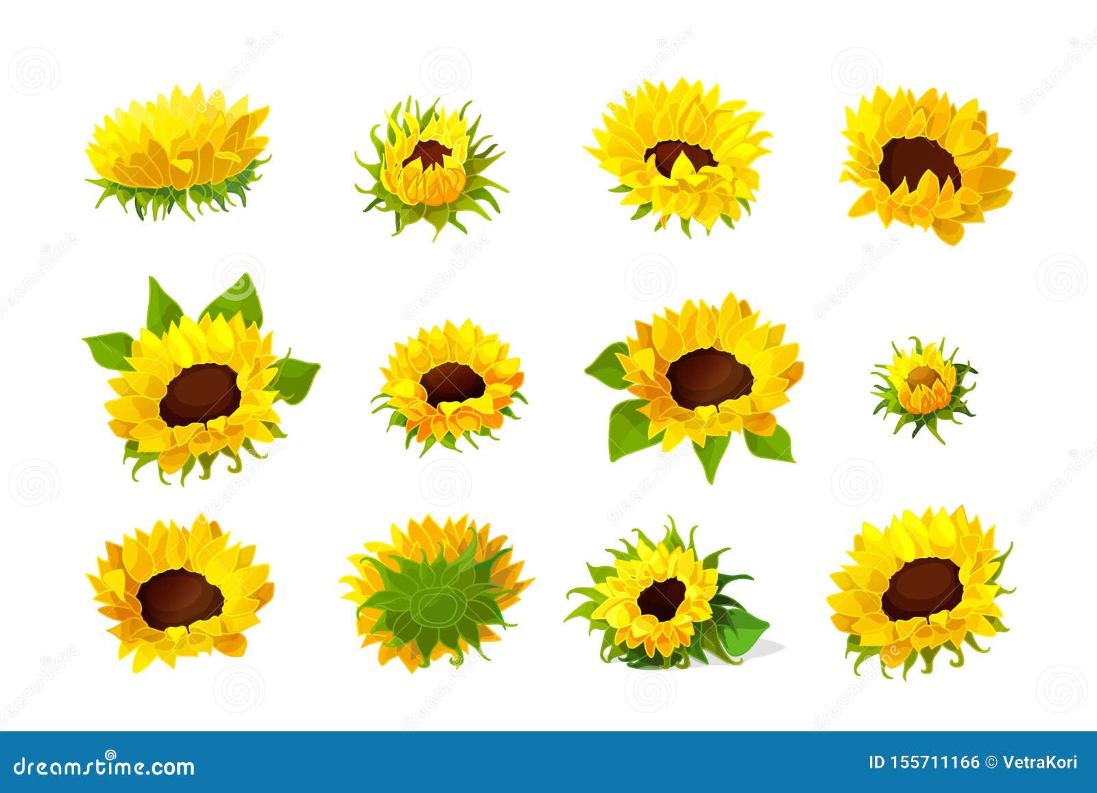 Vector Sunflower | CartoonDealer.com #7421218