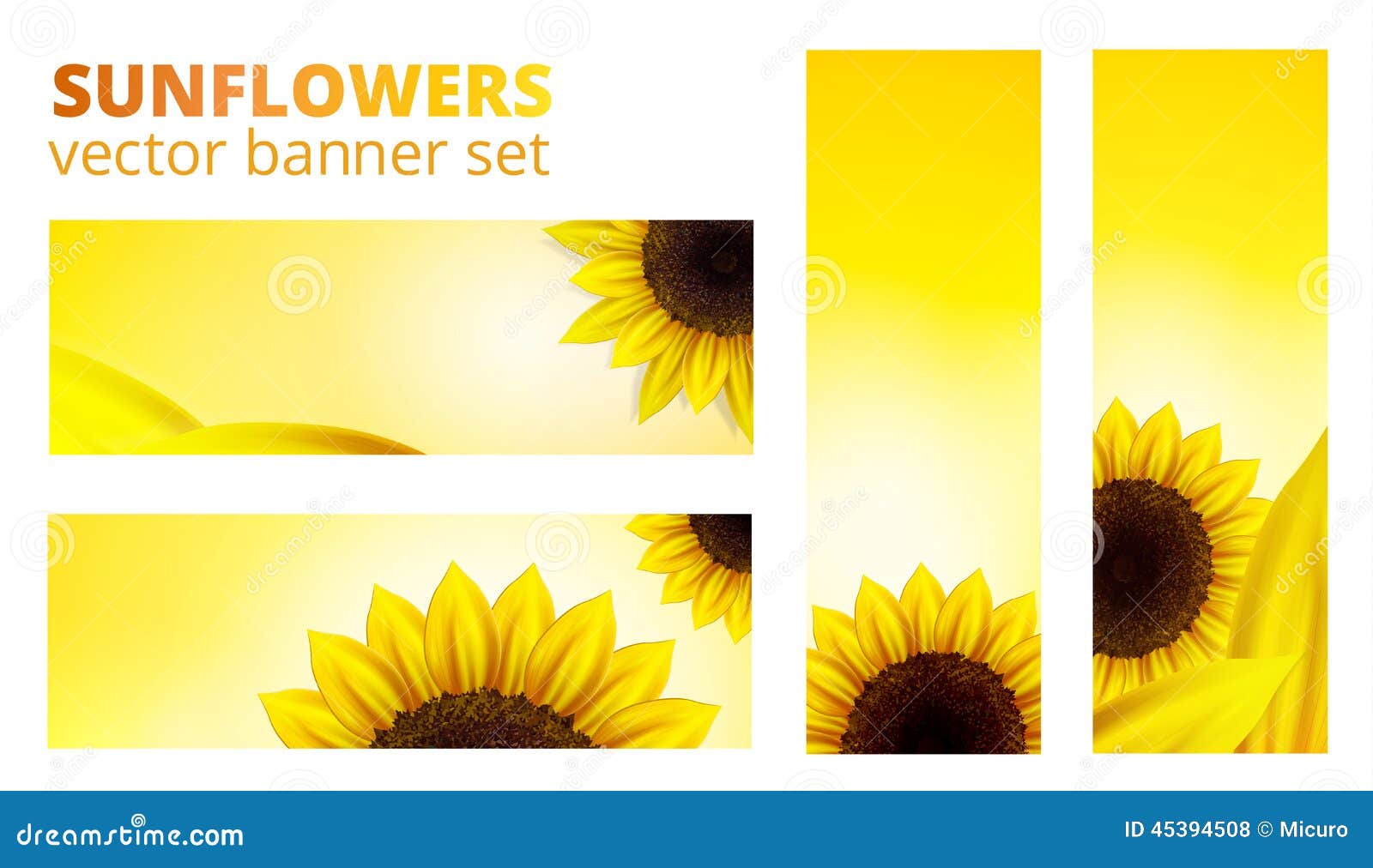 Vector sunflowers banner stock vector. Illustration of horizontal ...
