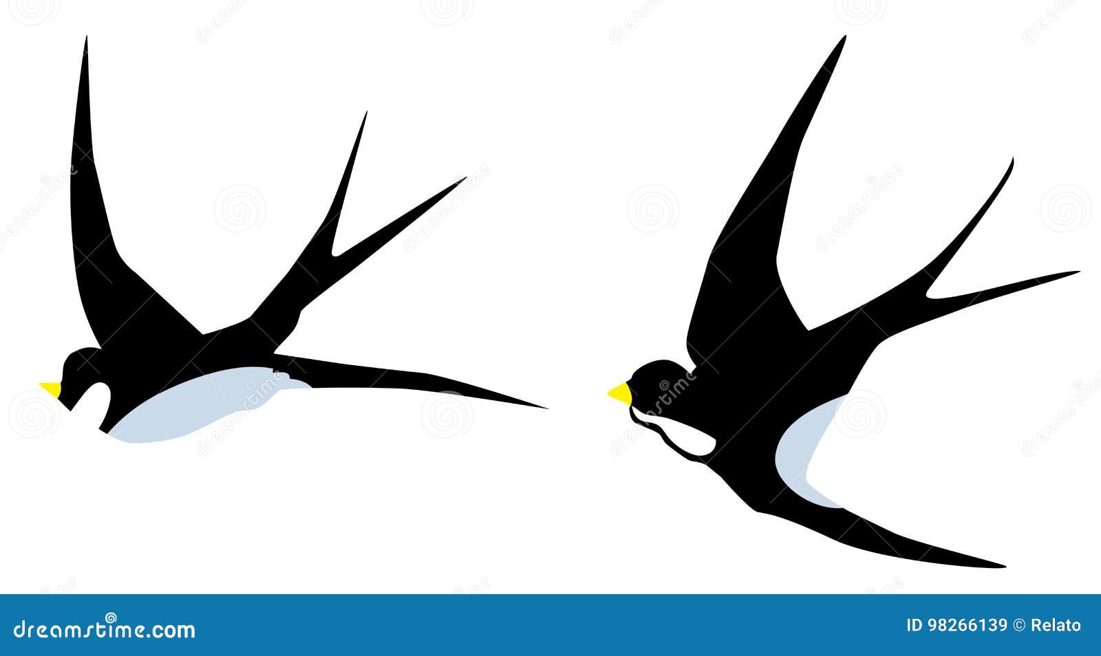 Vector Swallow Flying Design On White Background. Bird. Icon. Wild ...