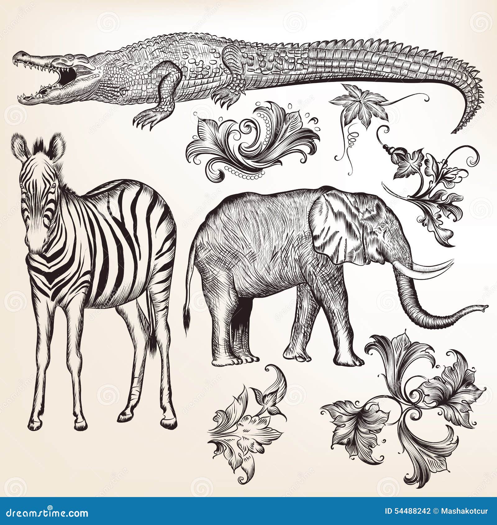 Vector swirls and animals stock vector. Illustration of africa - 54488242