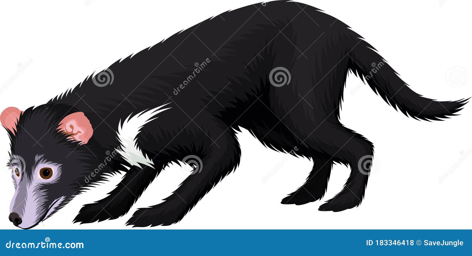 Vector Tasmanian Devil Illustration on White Stock Vector ...