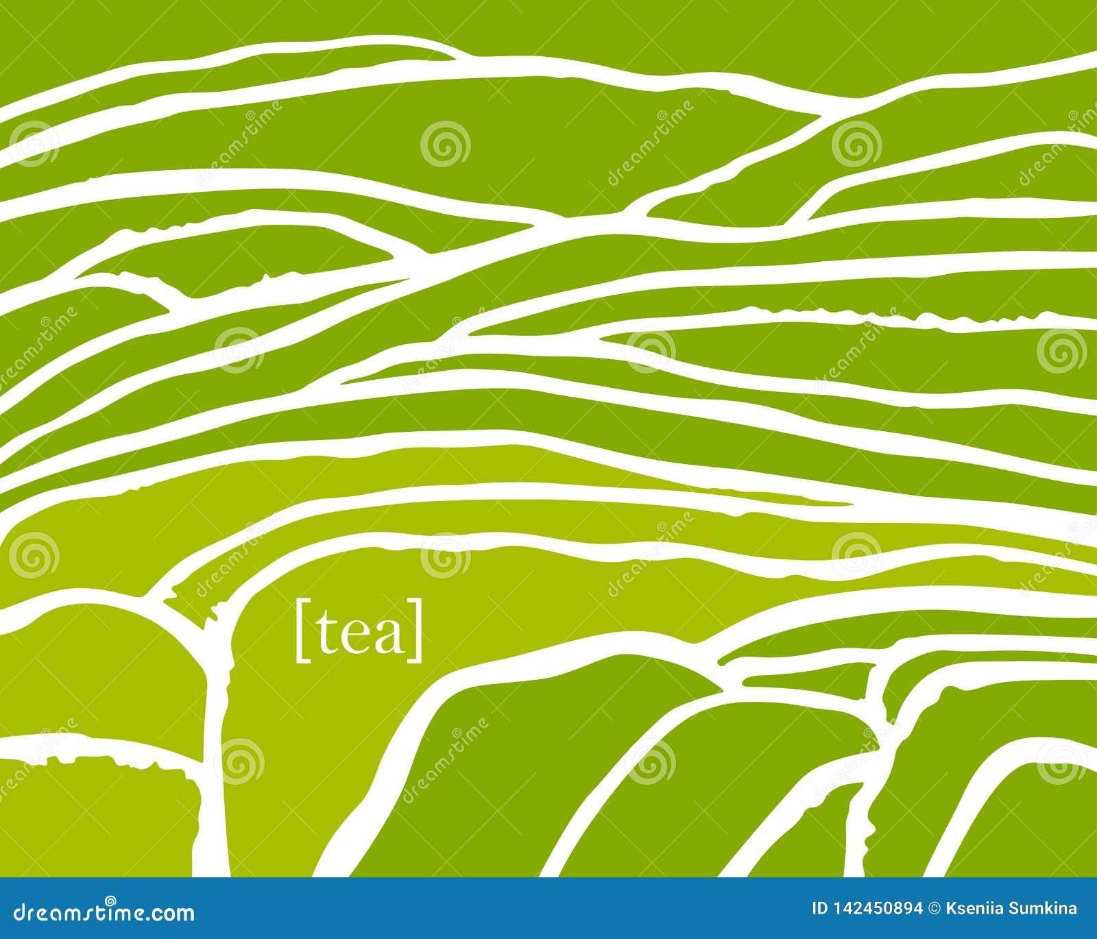 Vector Tea Plantation on Cascades Field. Tea Title Stock Illustration ...