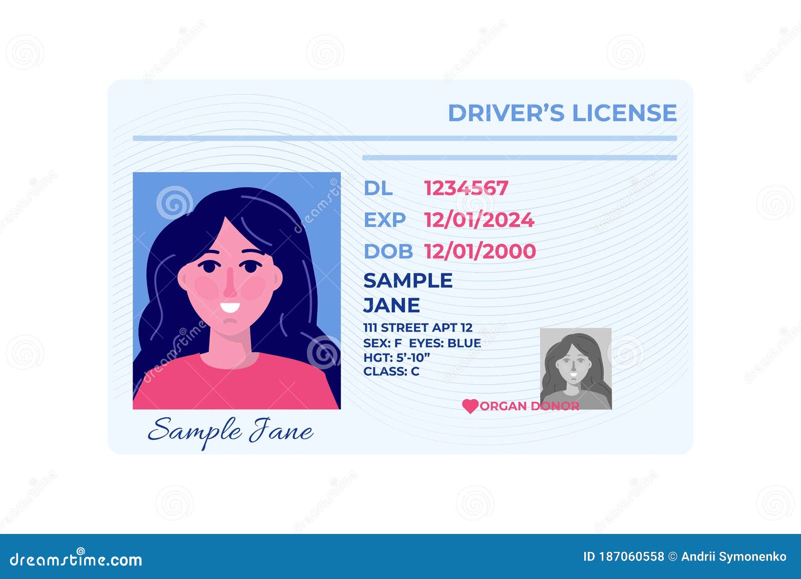 Vector Template of Car Driver License Plastic Card. Stock Vector ...
