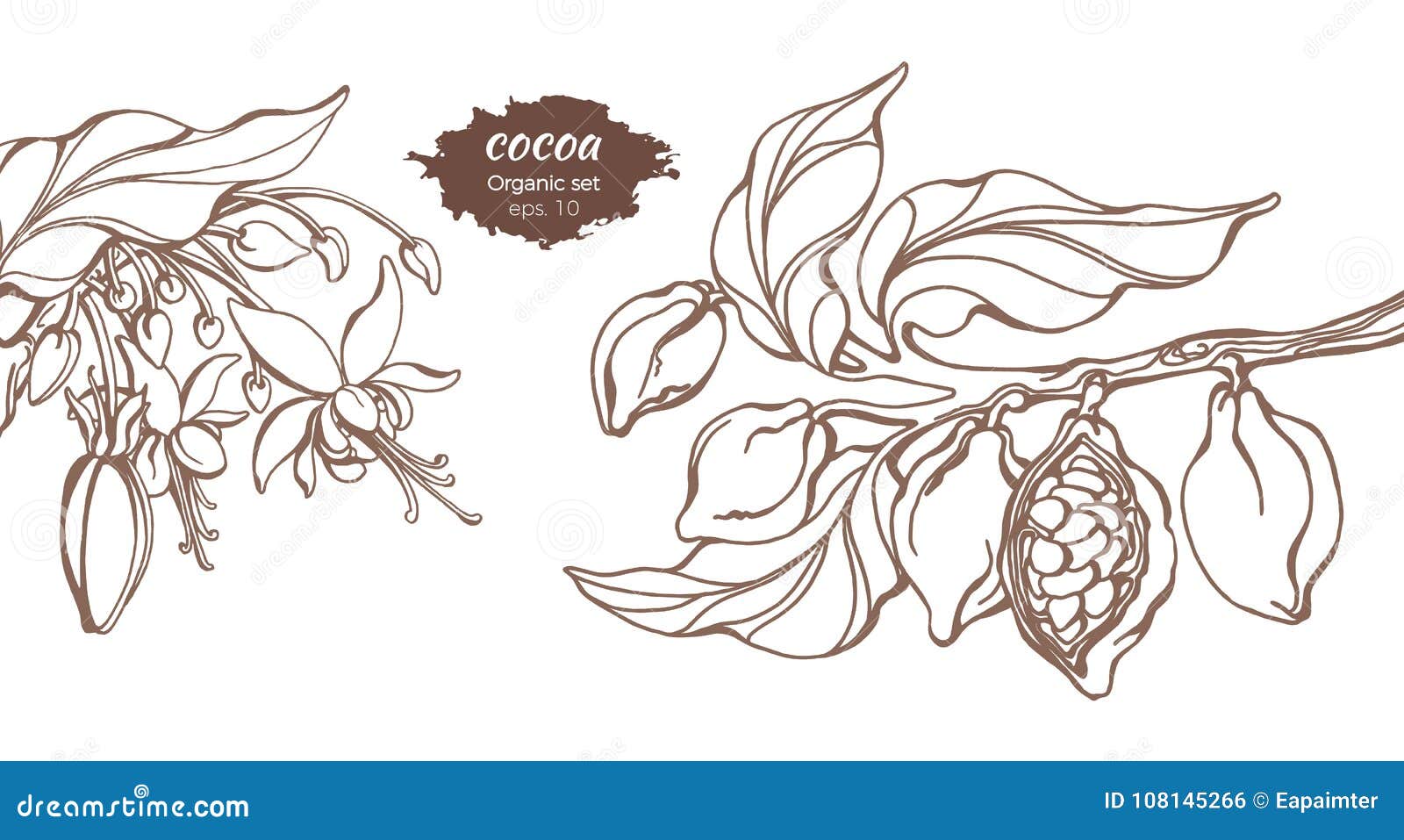 Cocoa Tree Illustration, Drawing, Engraving, Ink, Line Art, Vector ...