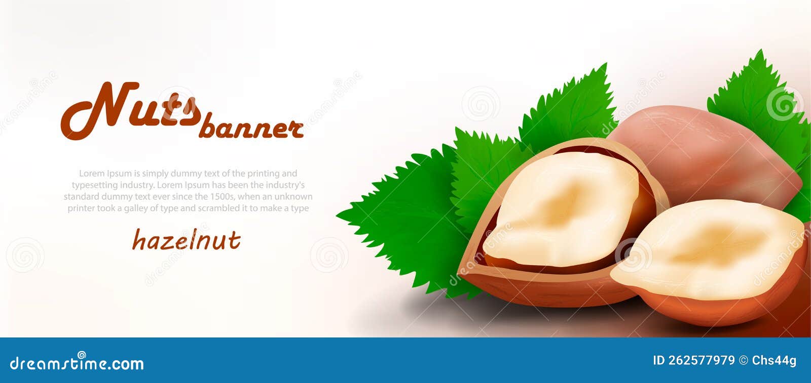 Vector Template of Horizontal Banner with Hazelnut Stock Vector ...