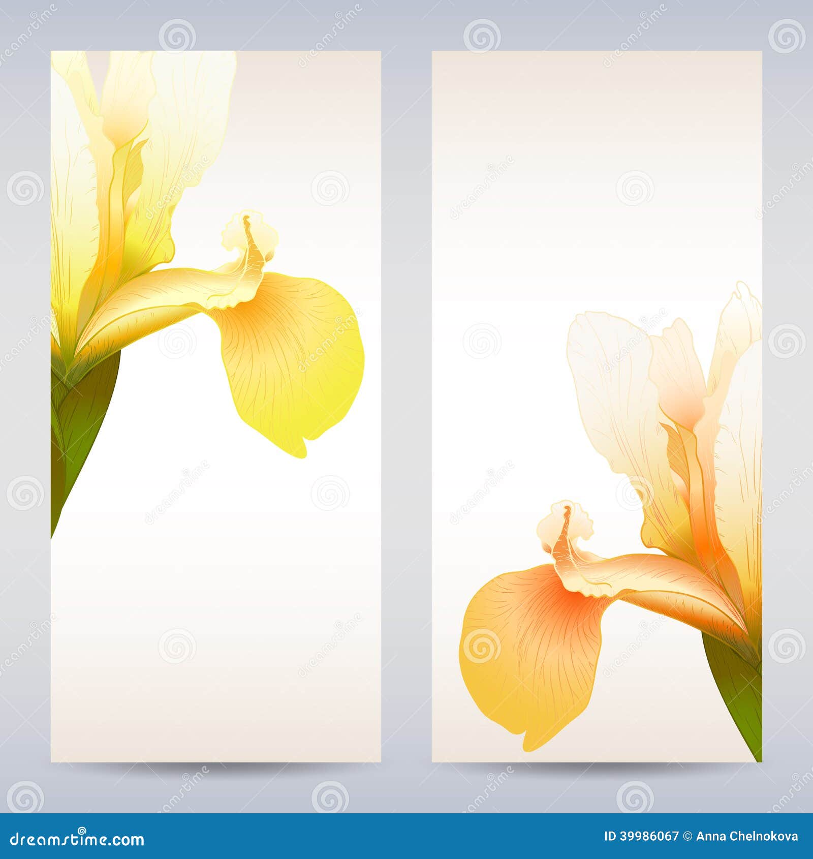 Vector Templates Iris Graphic Designs. Stock Vector - Illustration of ...