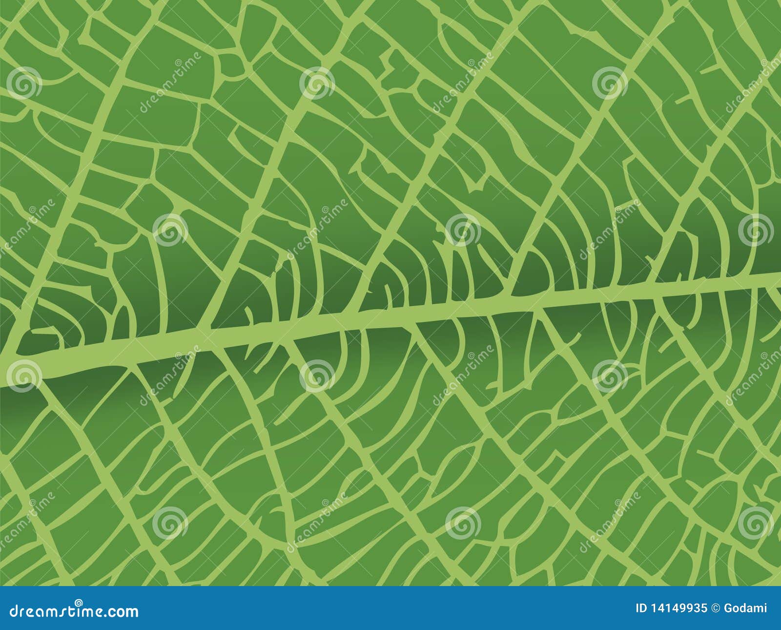 Vector texture of leaf stock vector. Illustration of style - 14149935