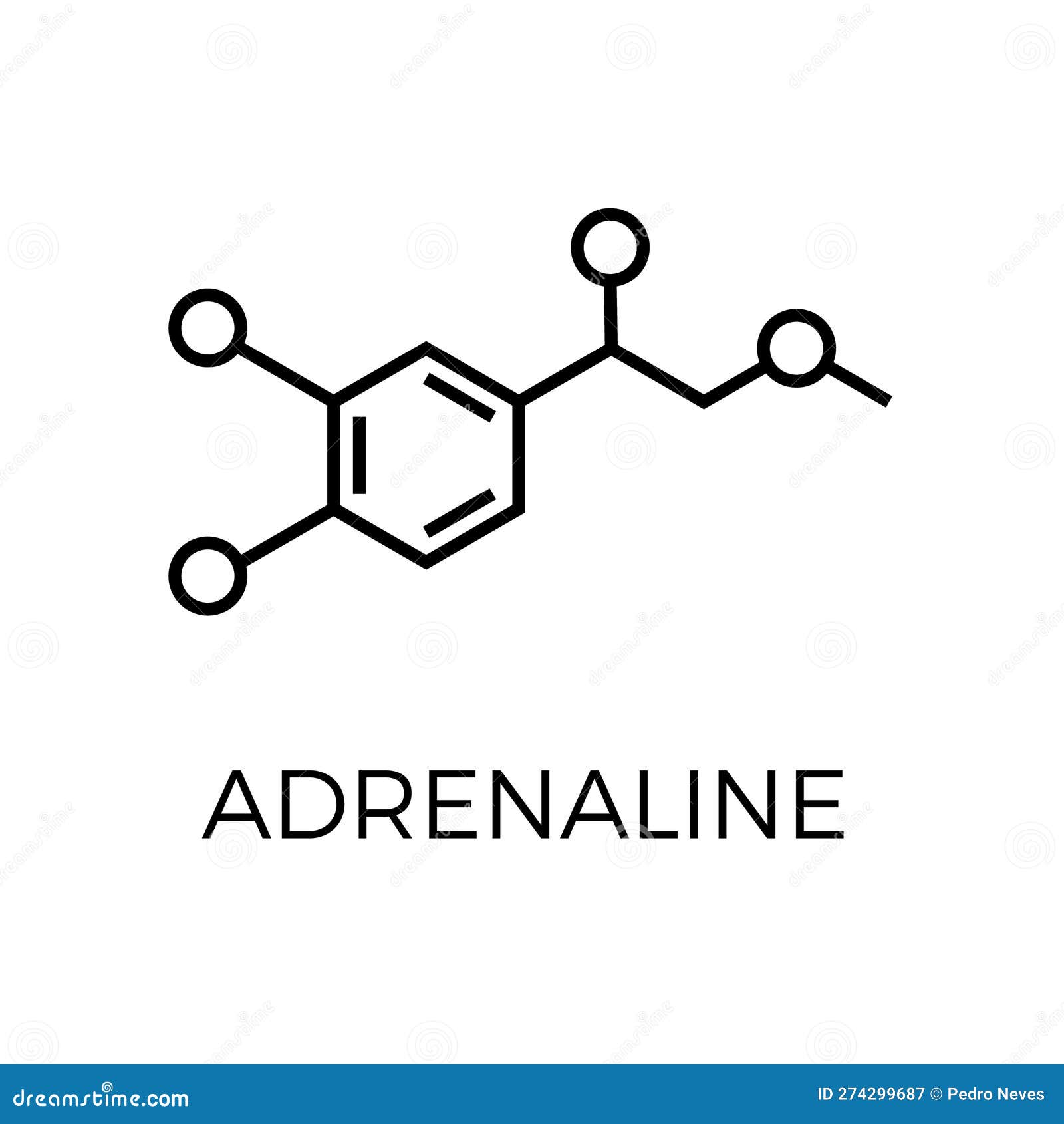 Adrenaline (epinephrin, Adrenalin) Molecule, Flat Icon Style. Hormone ...