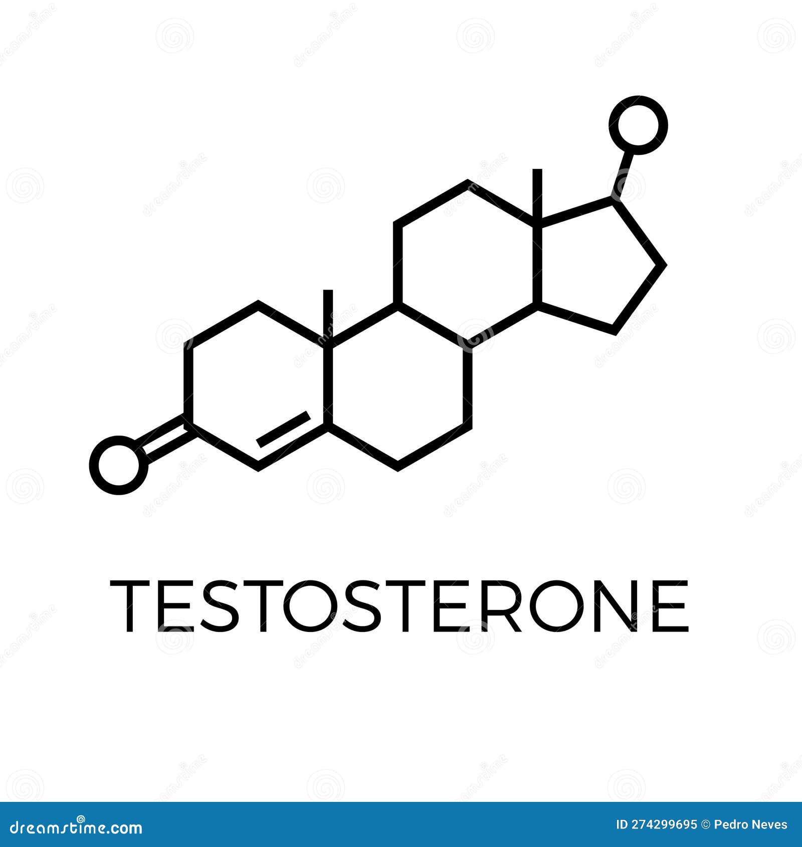 Vector Thin Line Icon Of Testosterone Molecular Structure Chemical