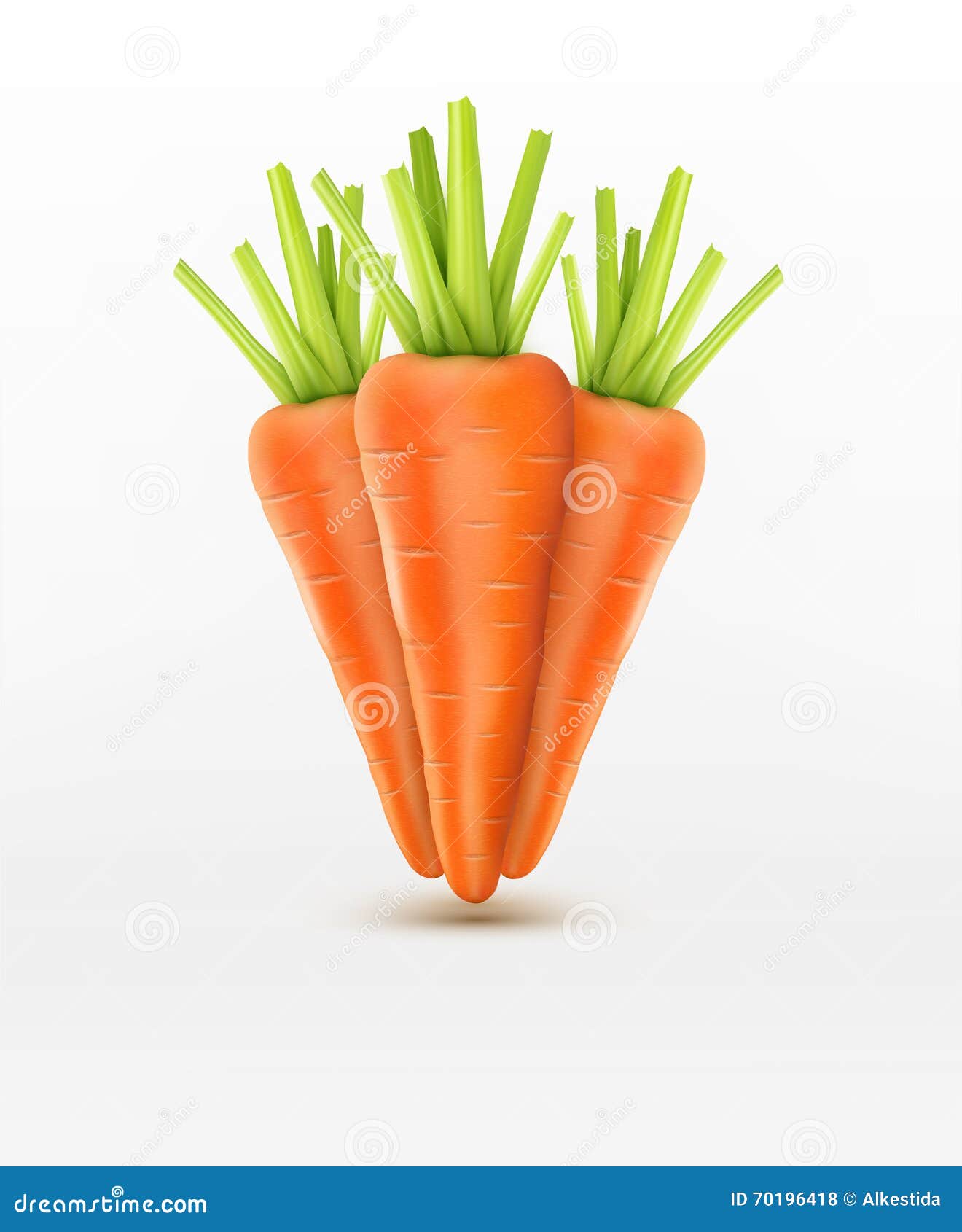 Three Carrots Stock Illustrations – 235 Three Carrots Stock ...