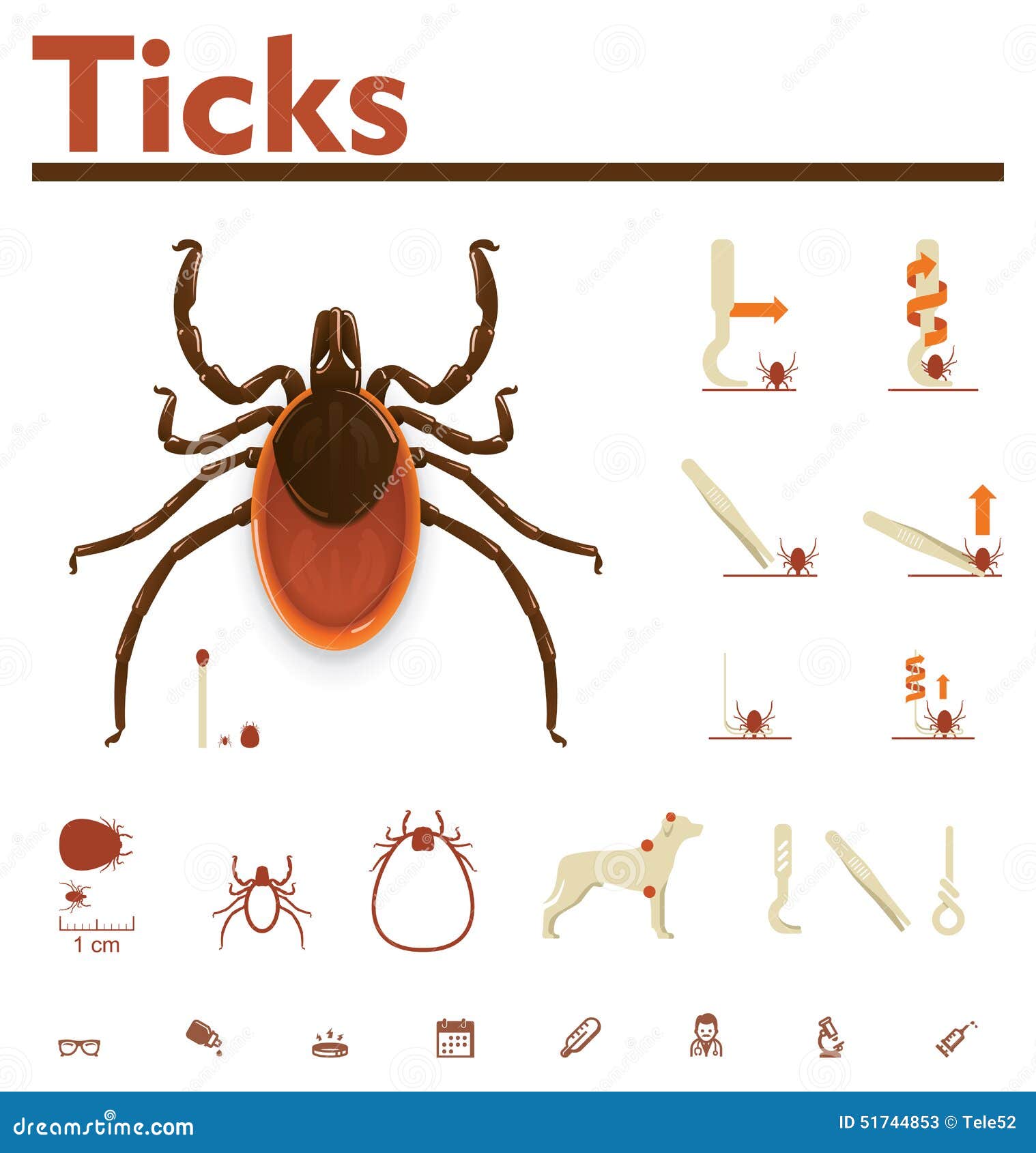 Vector tick infographic stock vector. Illustration of closeup - 51744853