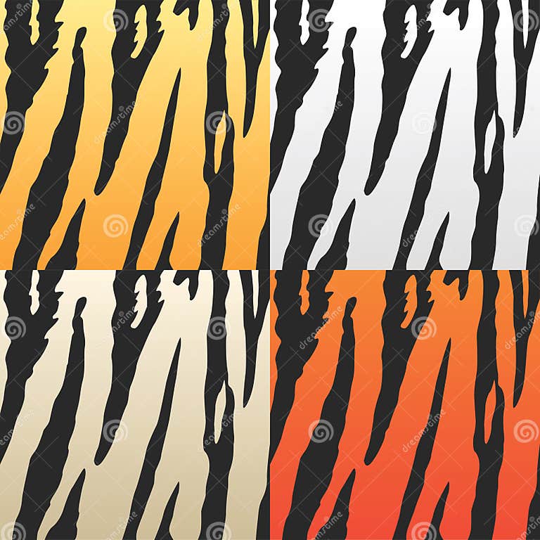 Vector tiger skins stock vector. Illustration of leopard - 5718495