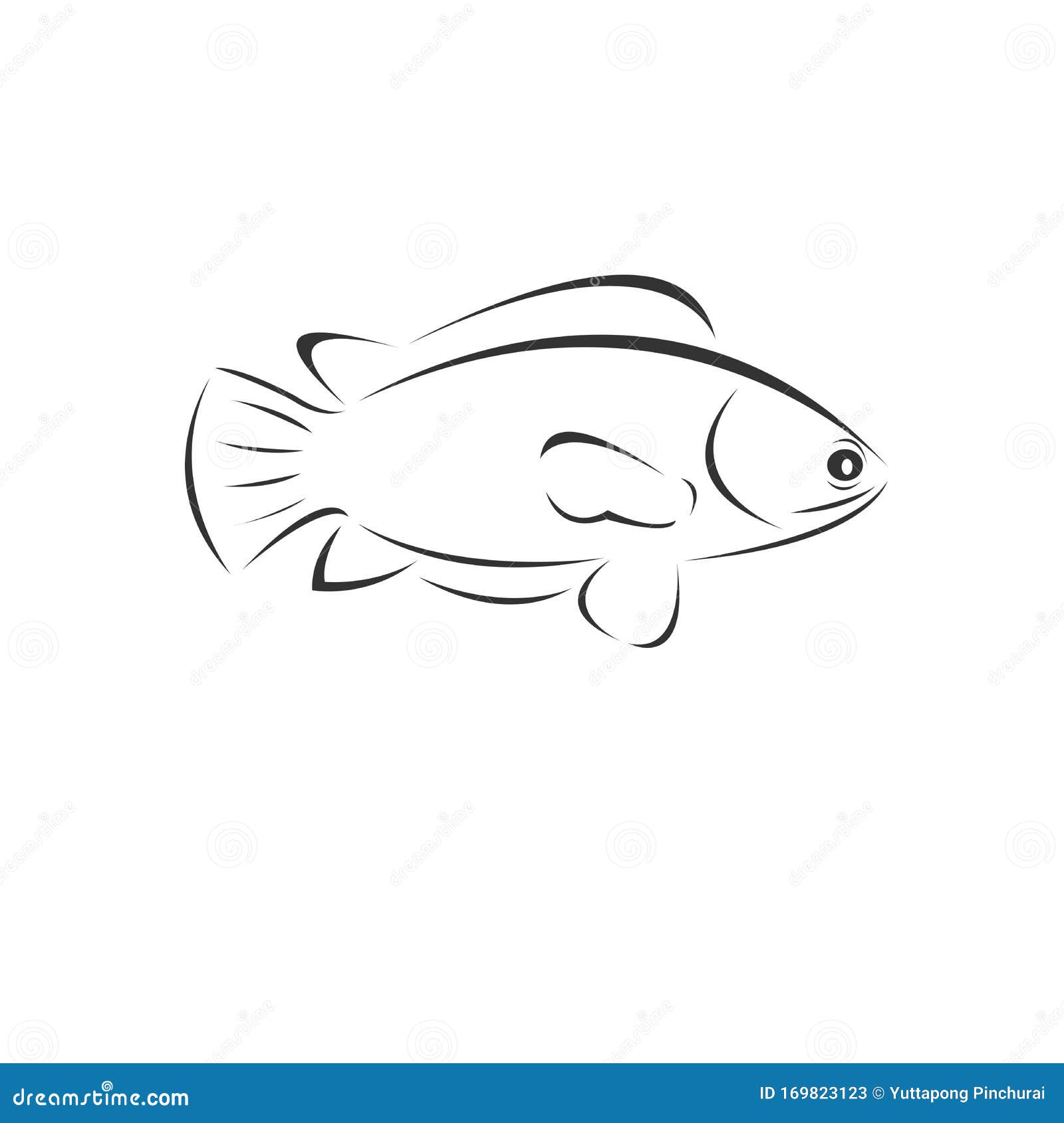 Vector Tilapia Fish Black. Illustration. Logo. Icon. Symbol Stock ... Vector Tilapia Fish Black. Illustration. Logo. Icon. Symbol Stock ...