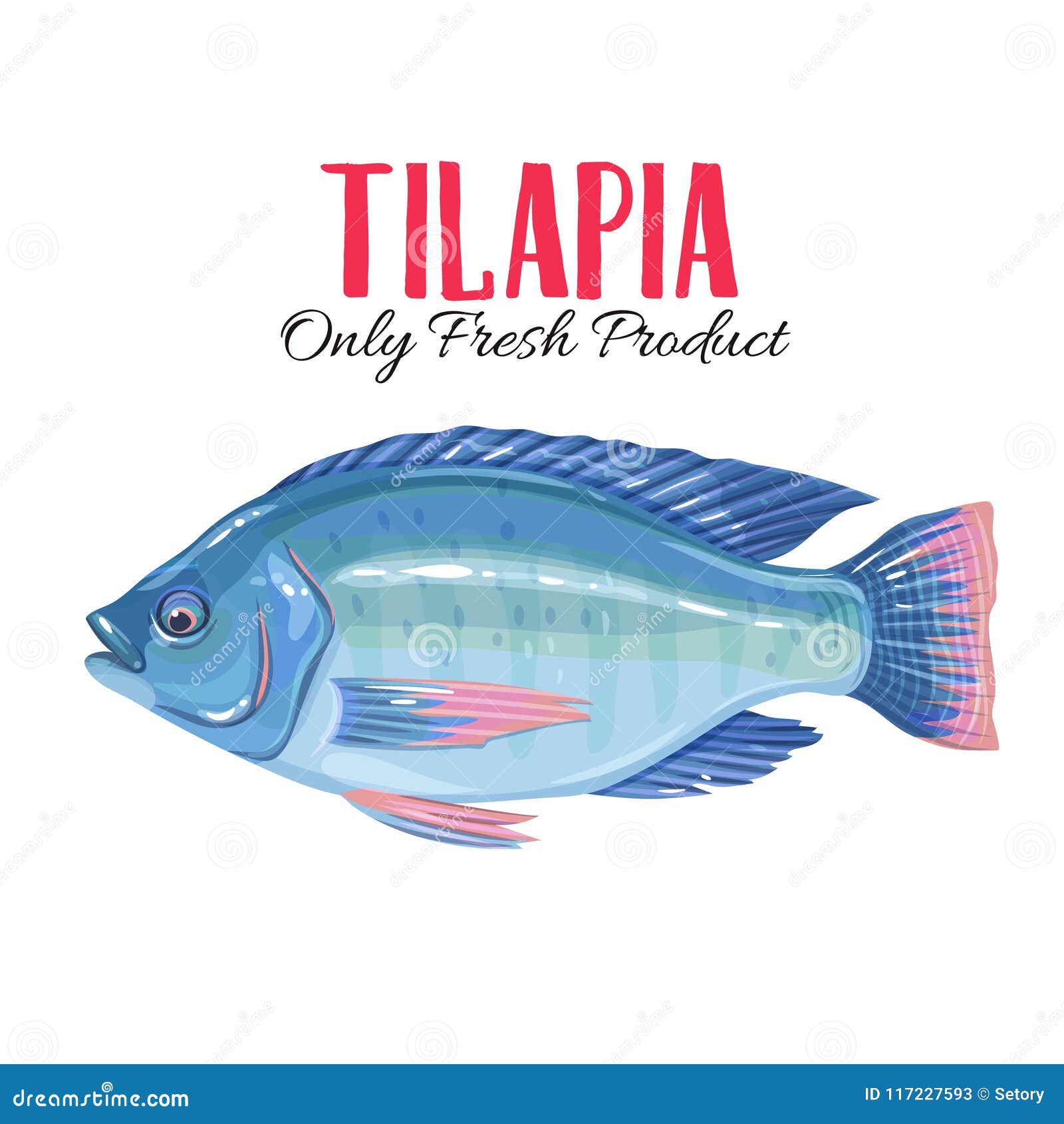 Vector Tilapia Fish Black. Illustration. Logo. Icon. Symbol. On White ...
