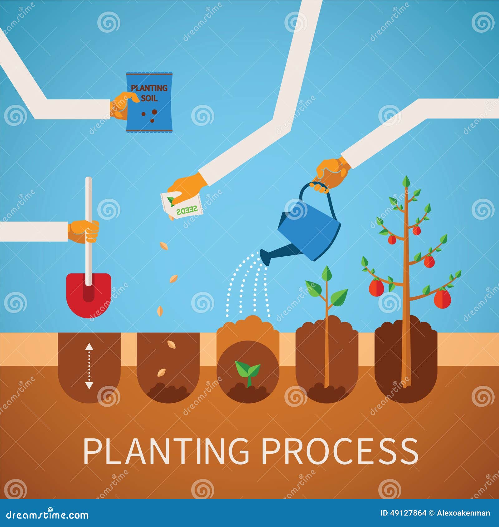 Vector Timeline Infographic Concept of Planting Process Stock Vector ...