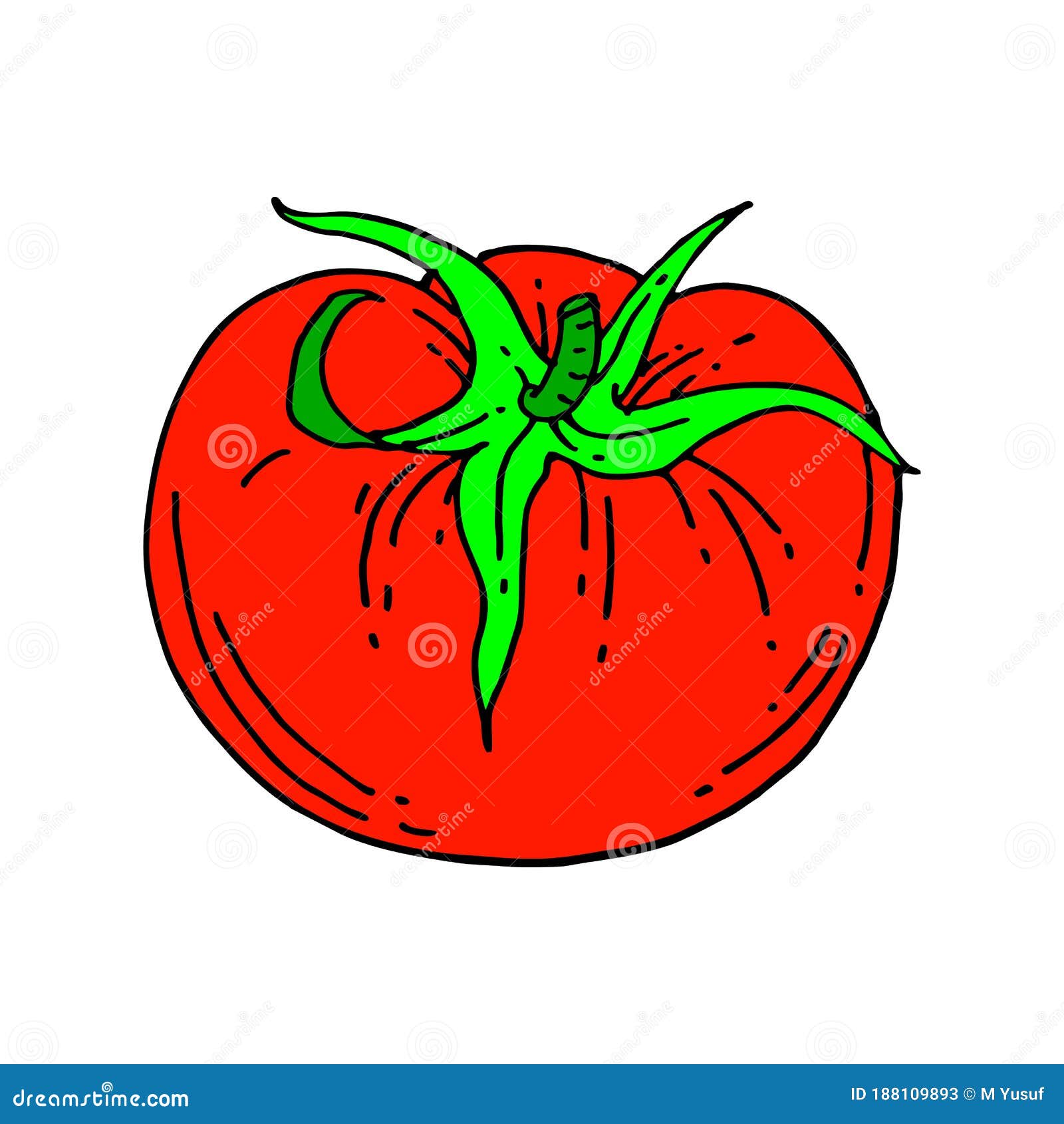 Vector Tomato Outline Illustration Isolated on White Background Stock ... Vector Tomato Outline Illustration Isolated on White Background Stock ...