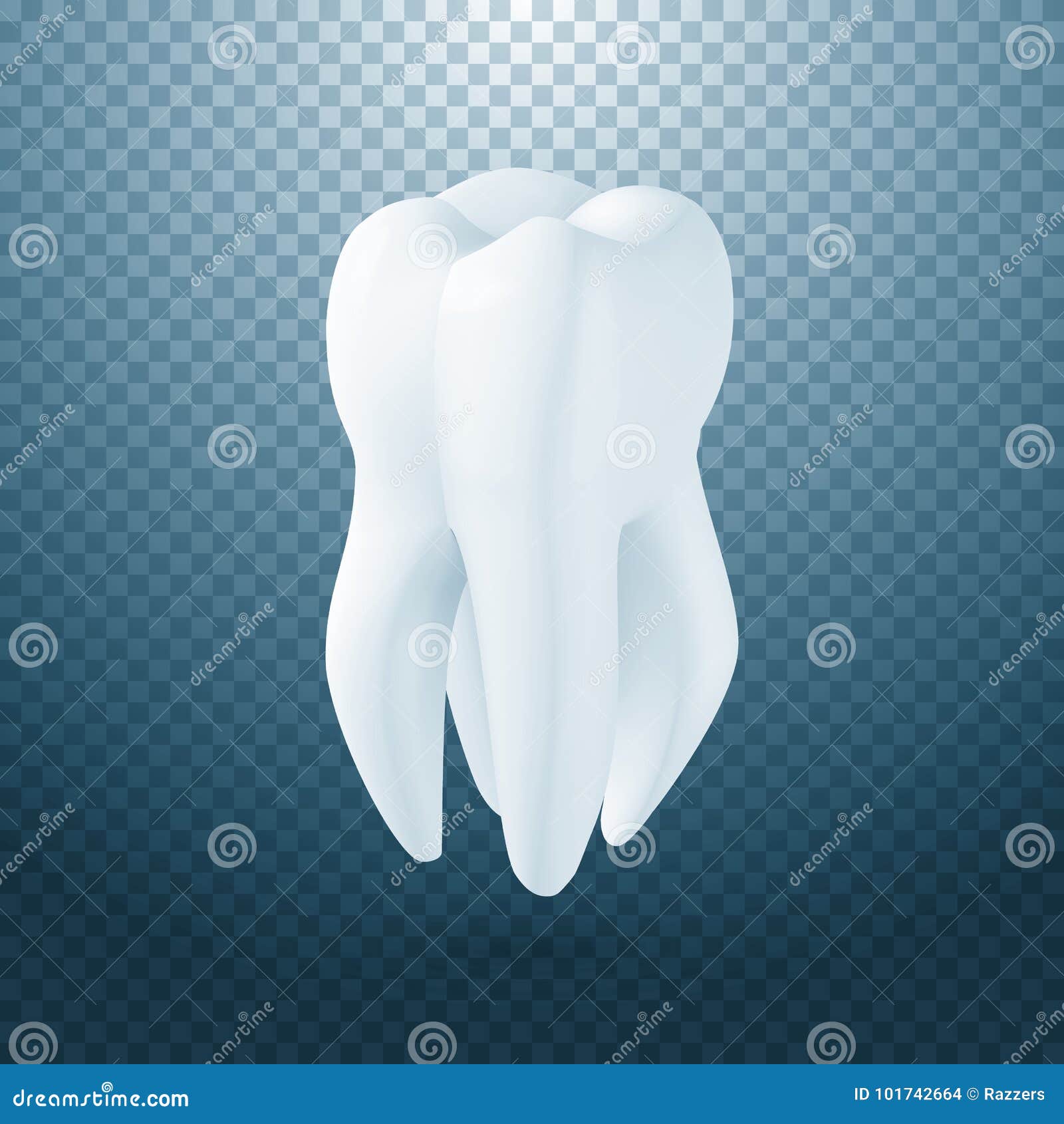 Vector Tooth Icon. Realistic Teeth Isolated on Transparent Overlay ...