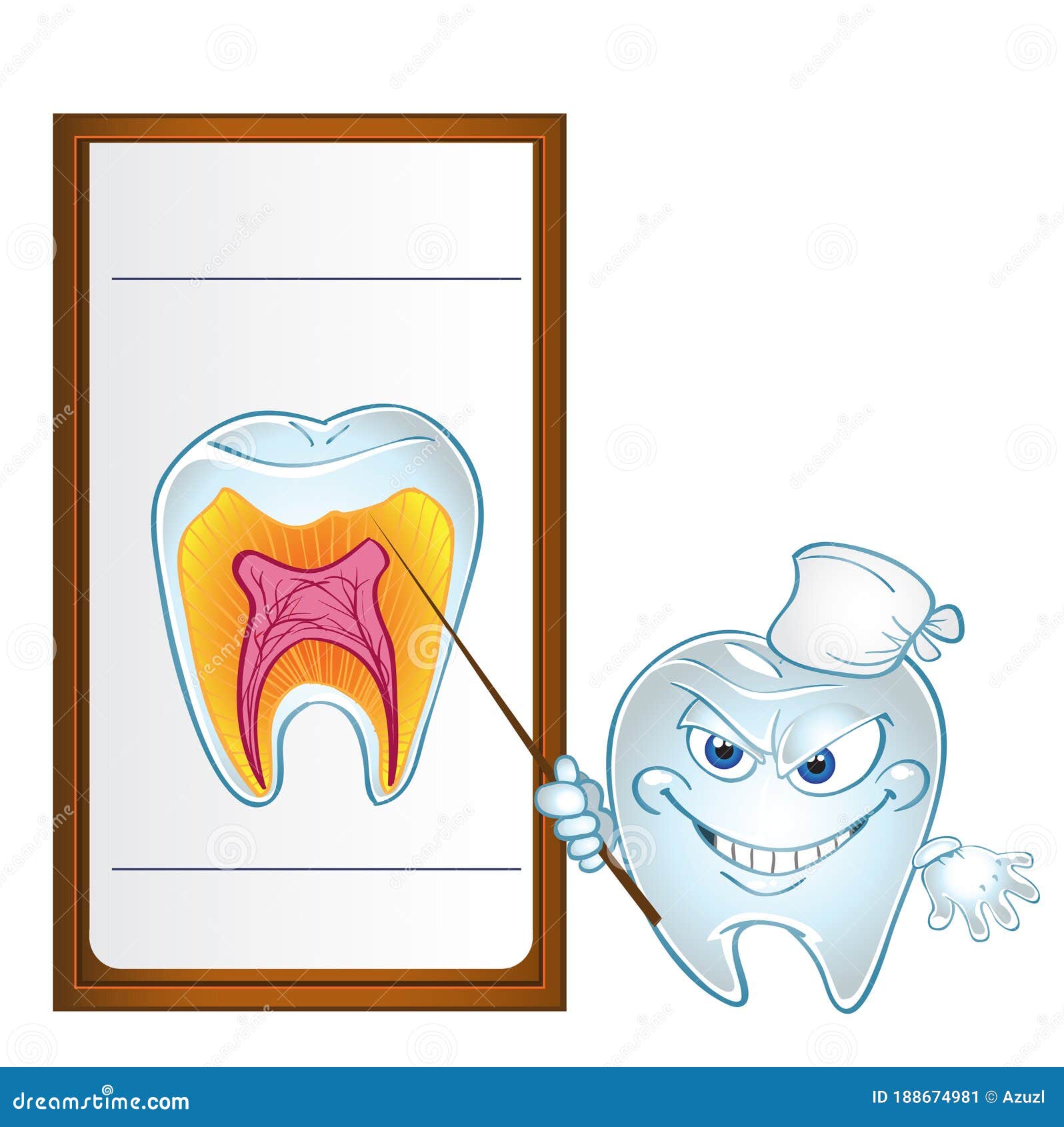 Cartoon Vector Tooth with Pointer Display Teeth in Section Stock ...