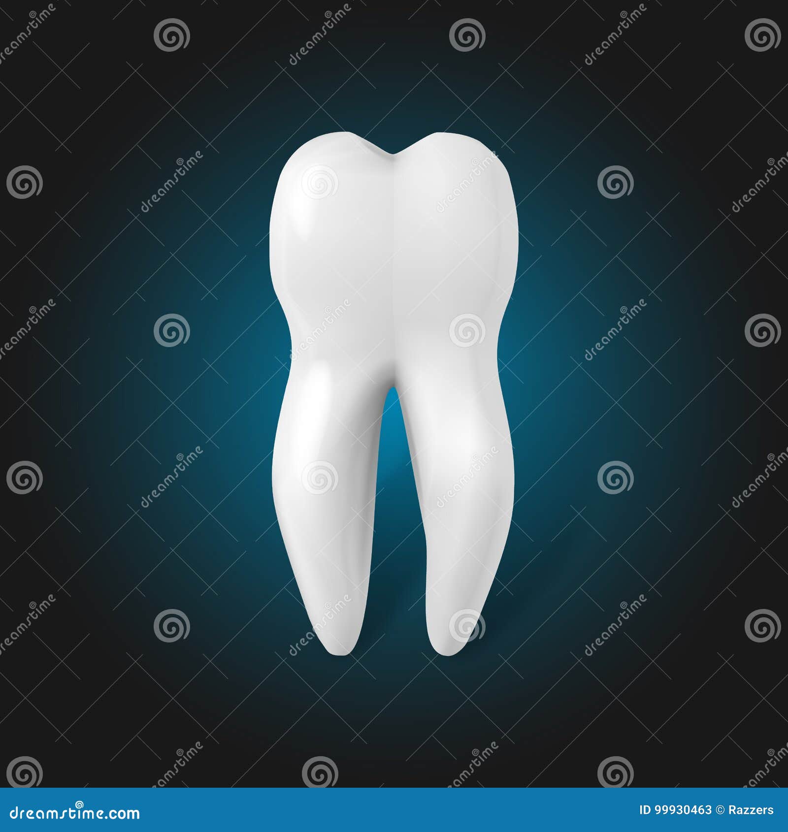 Vector Tooth. Realistic 3D Teeth Template Stock Vector - Illustration ...