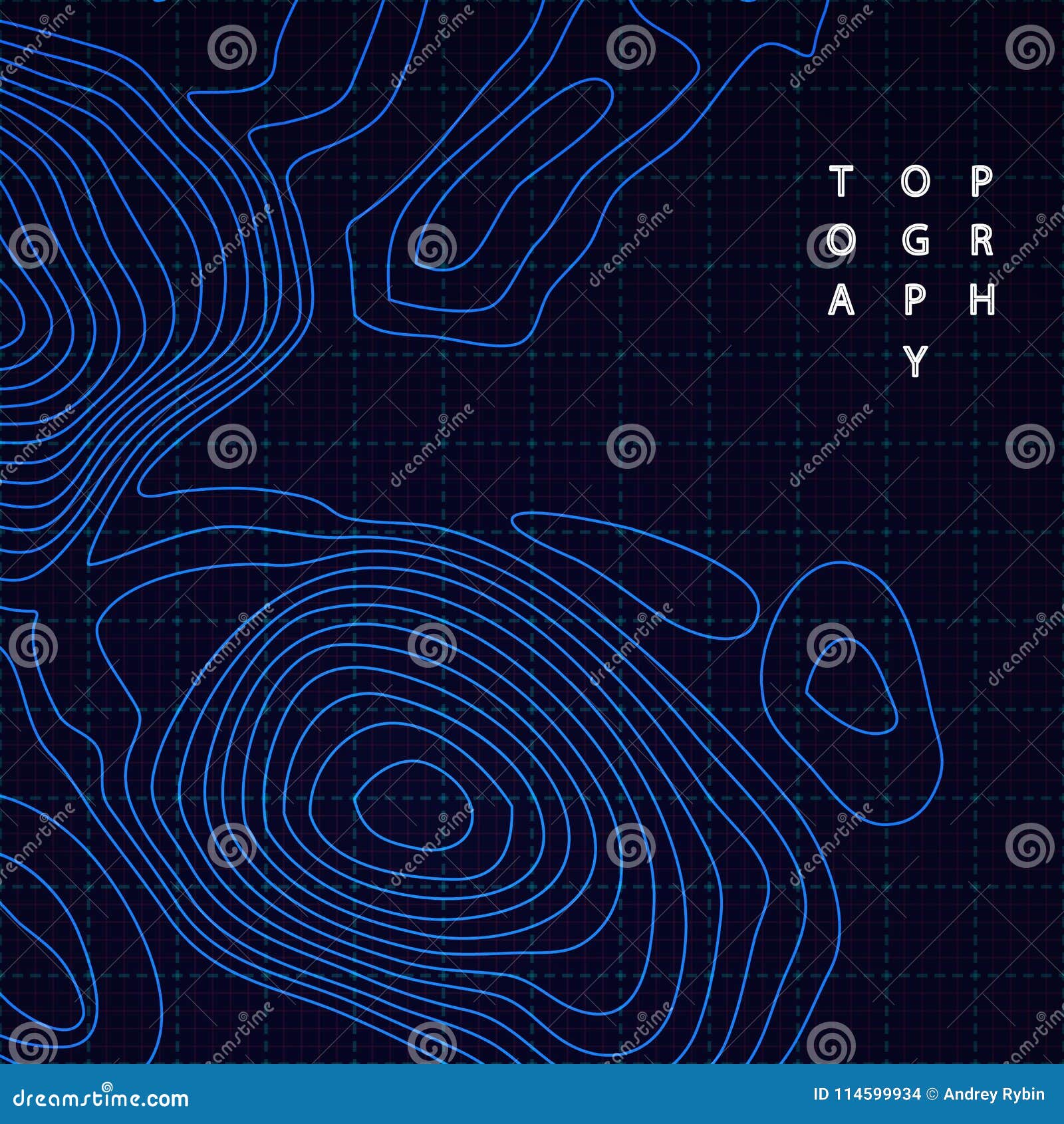 Vector topography map stock vector. Illustration of grid - 114599934