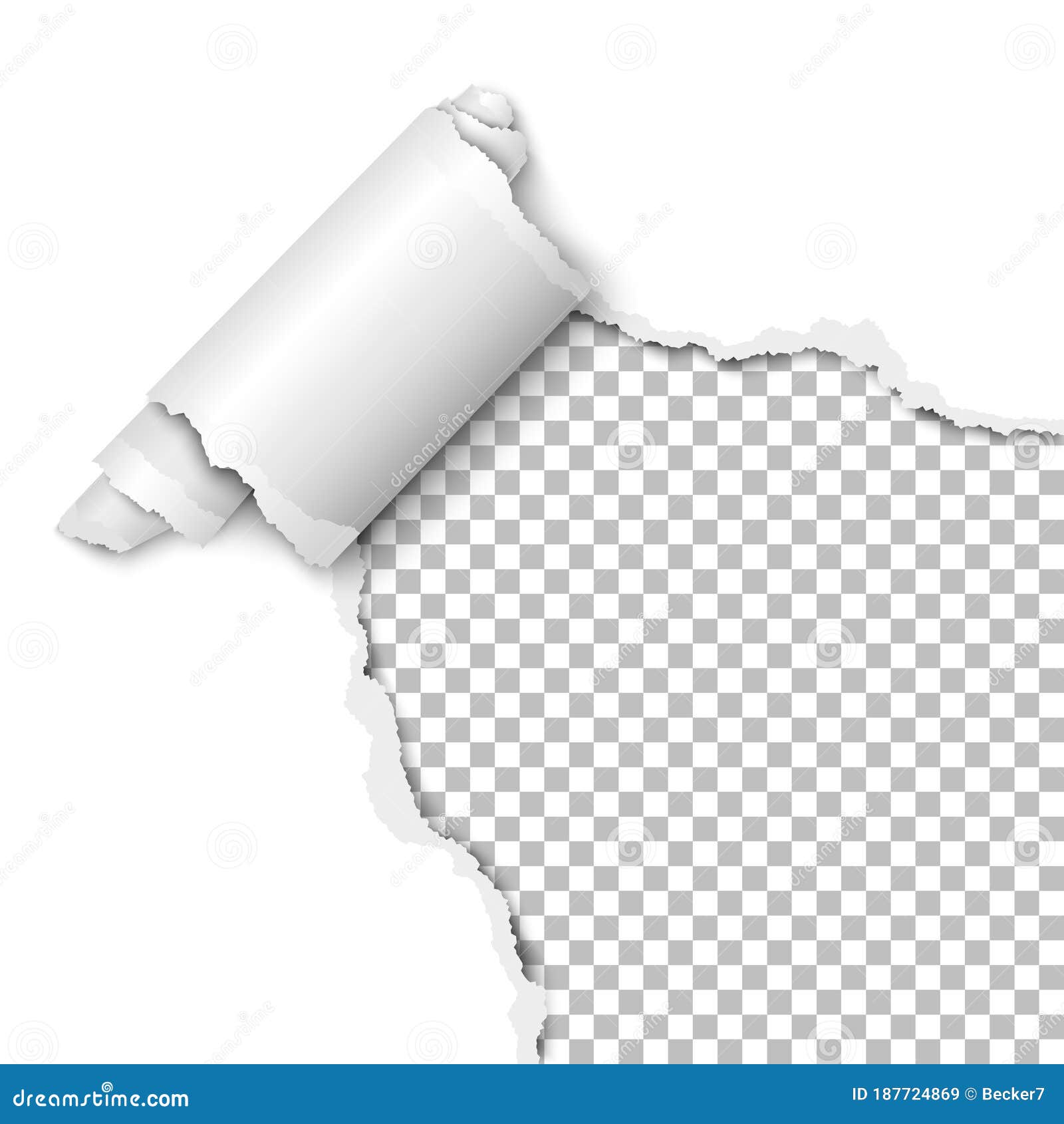 Torn Lower Right Corner Of The White Sheet Of Paper With Paper Curl ...