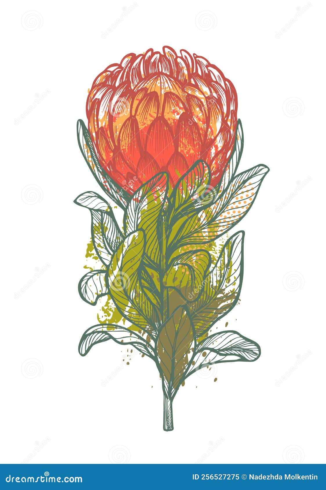 Vector Traditional African Protea Flower with Abstract Texture Stock ...