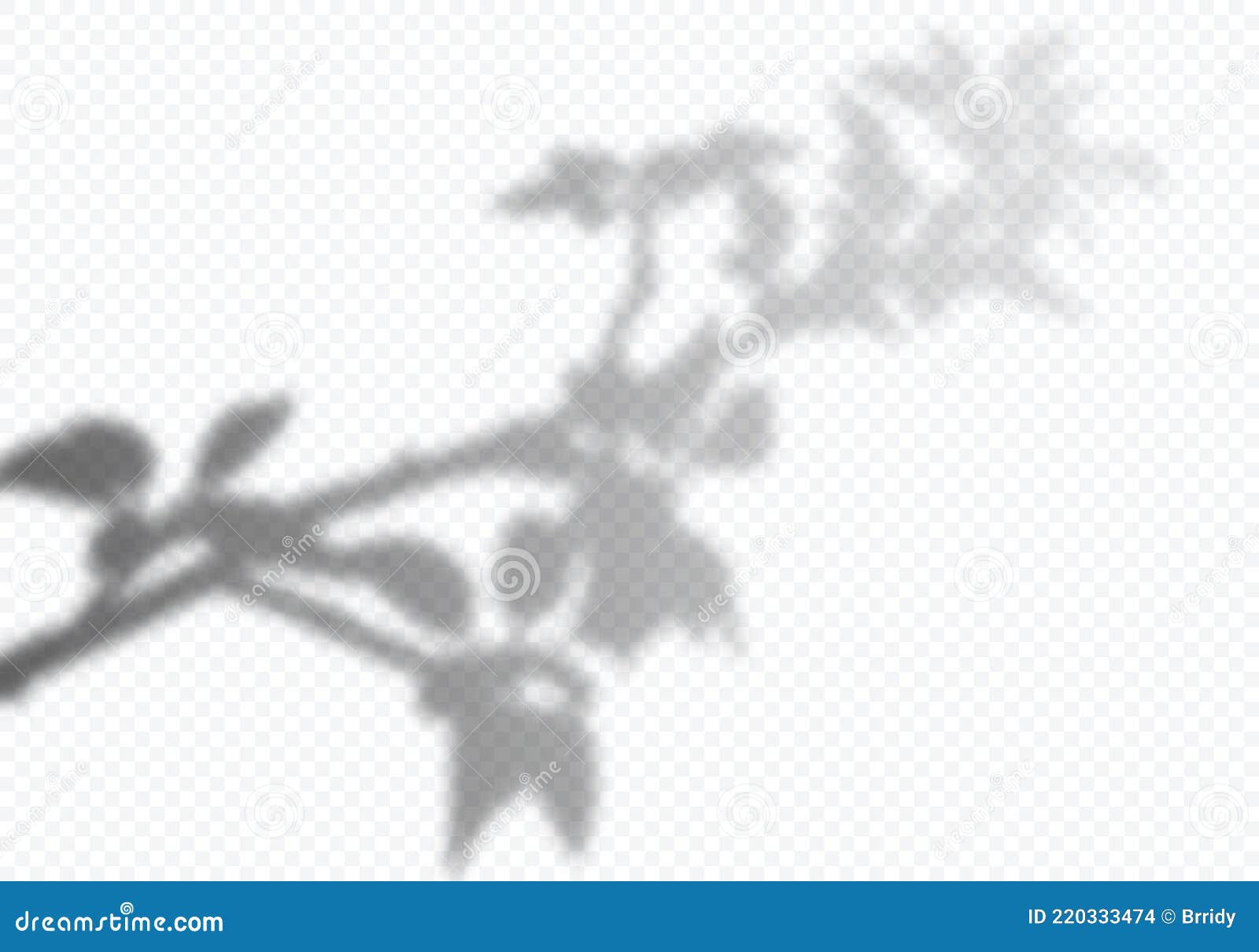 Vector Transparent Shadow of Bloom Tree Branch with Leaves. Decorative ...