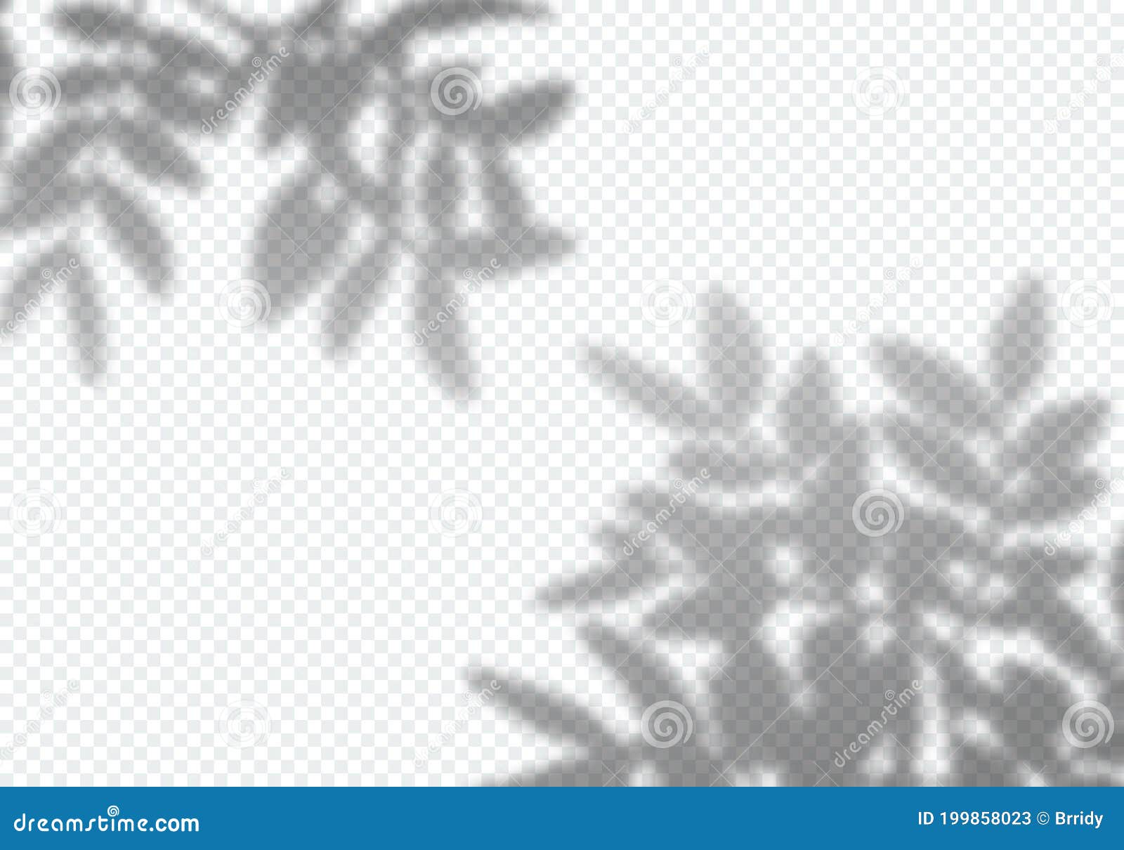 Vector Transparent Shadow of Branch Leaves. Creative Overlay Effect of ... Vector Transparent Shadow of Branch Leaves. Creative Overlay Effect of ...