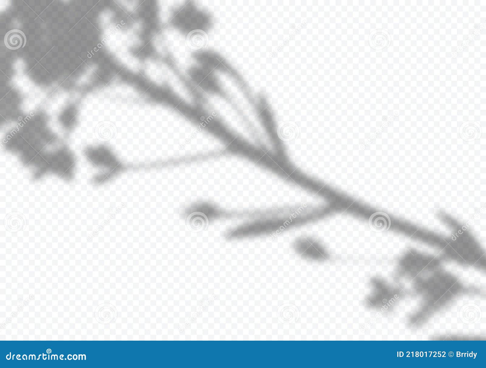 Vector Transparent Shadow of Flower Branch. Creative Overlay Effect ...