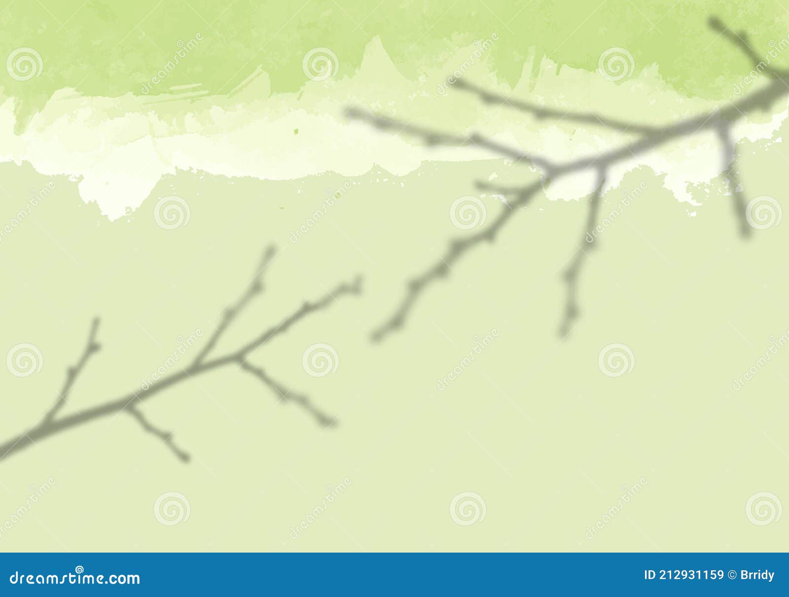 Vector Transparent Shadow of Tree Branch. Decorative Design Element ...