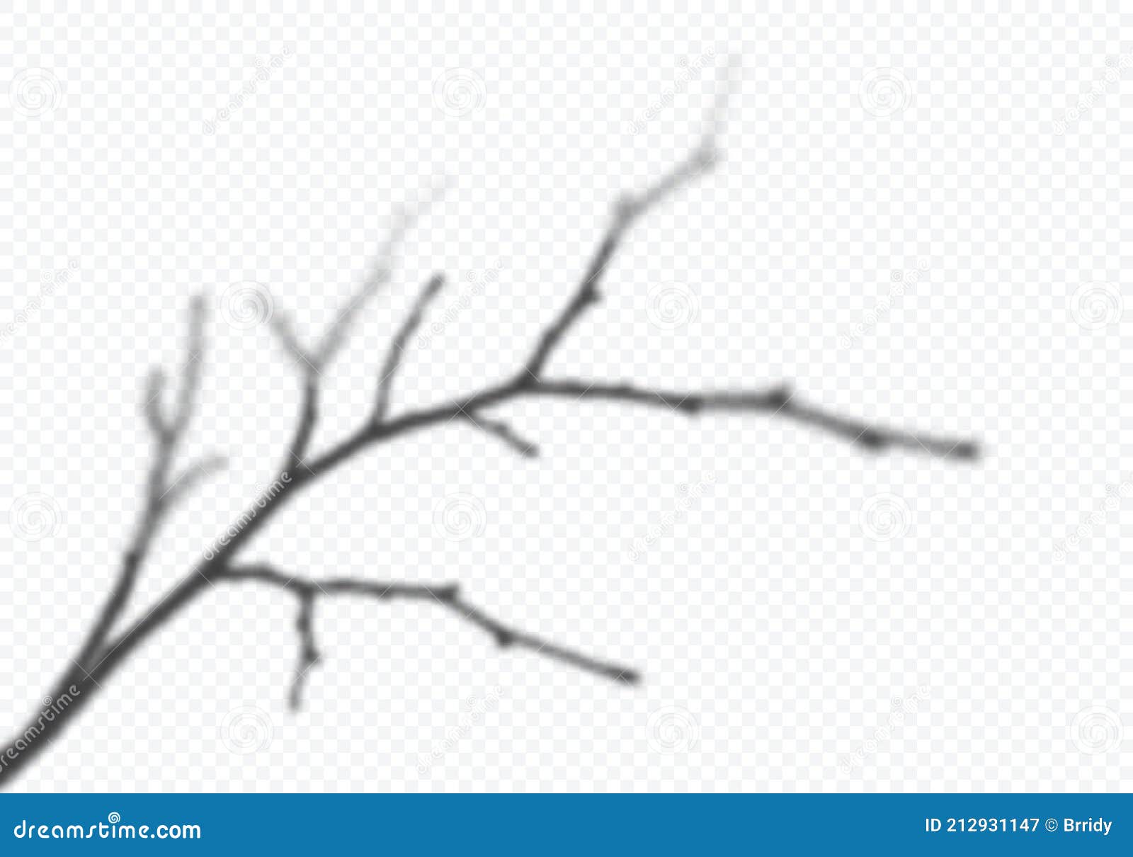 Vector Transparent Shadow of Tree Branch. Decorative Design Element ...