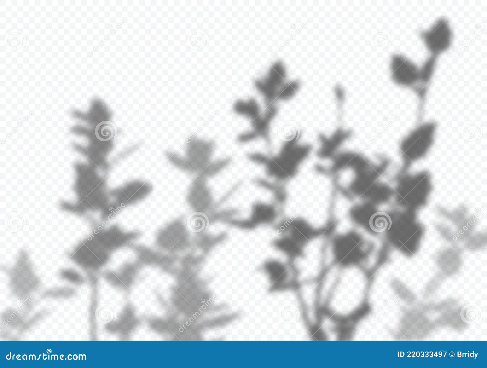 Vector Transparent Shadow of Tree Branches with Leaves. Decorative ...