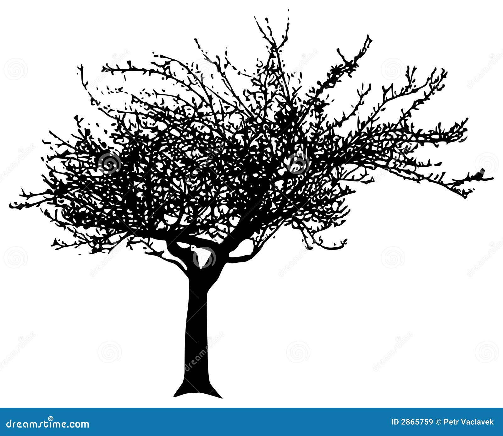 Apple Tree Silhouette