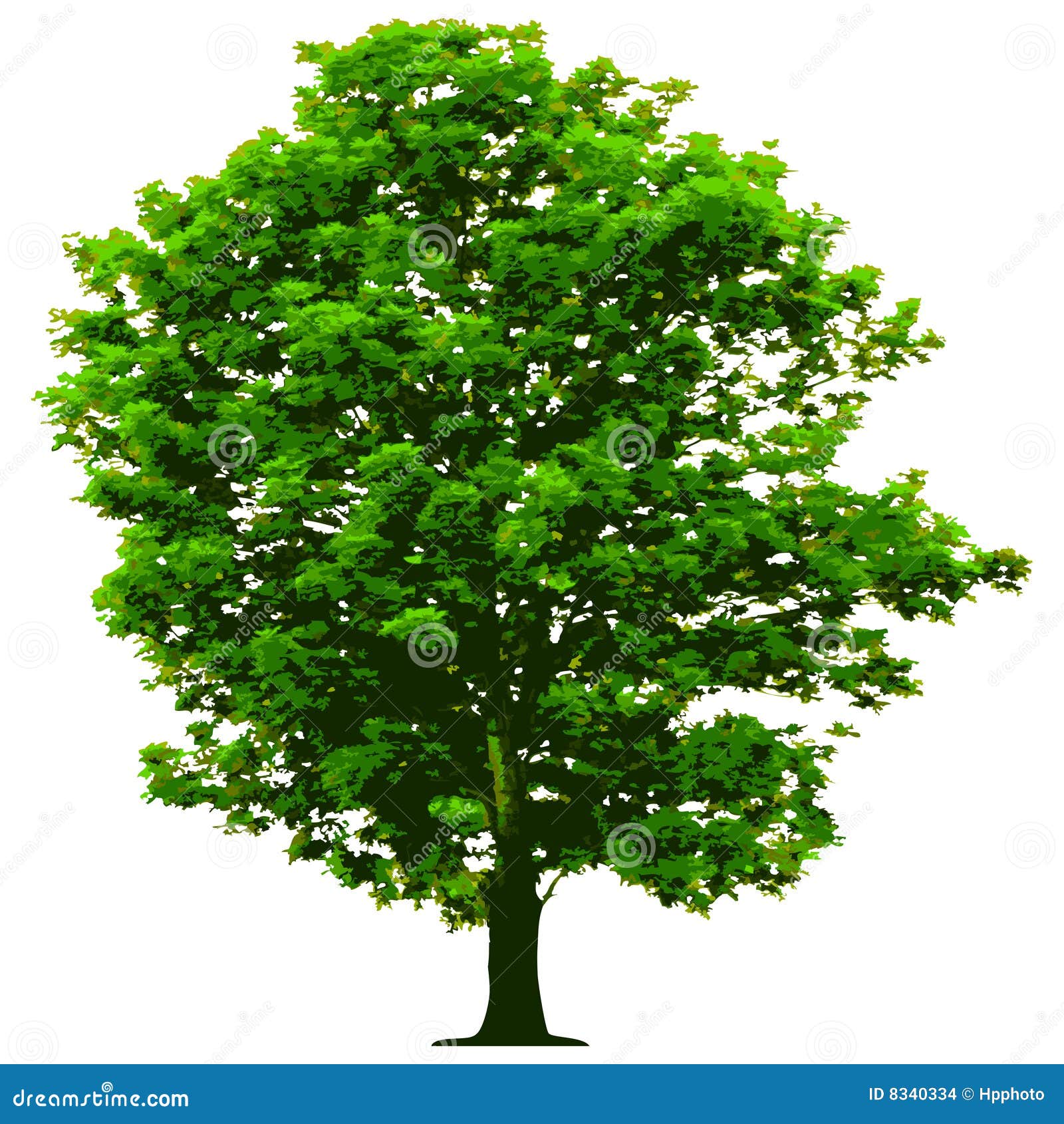 Vector tree stock vector. Illustration of isolated, silhouette - 8340334